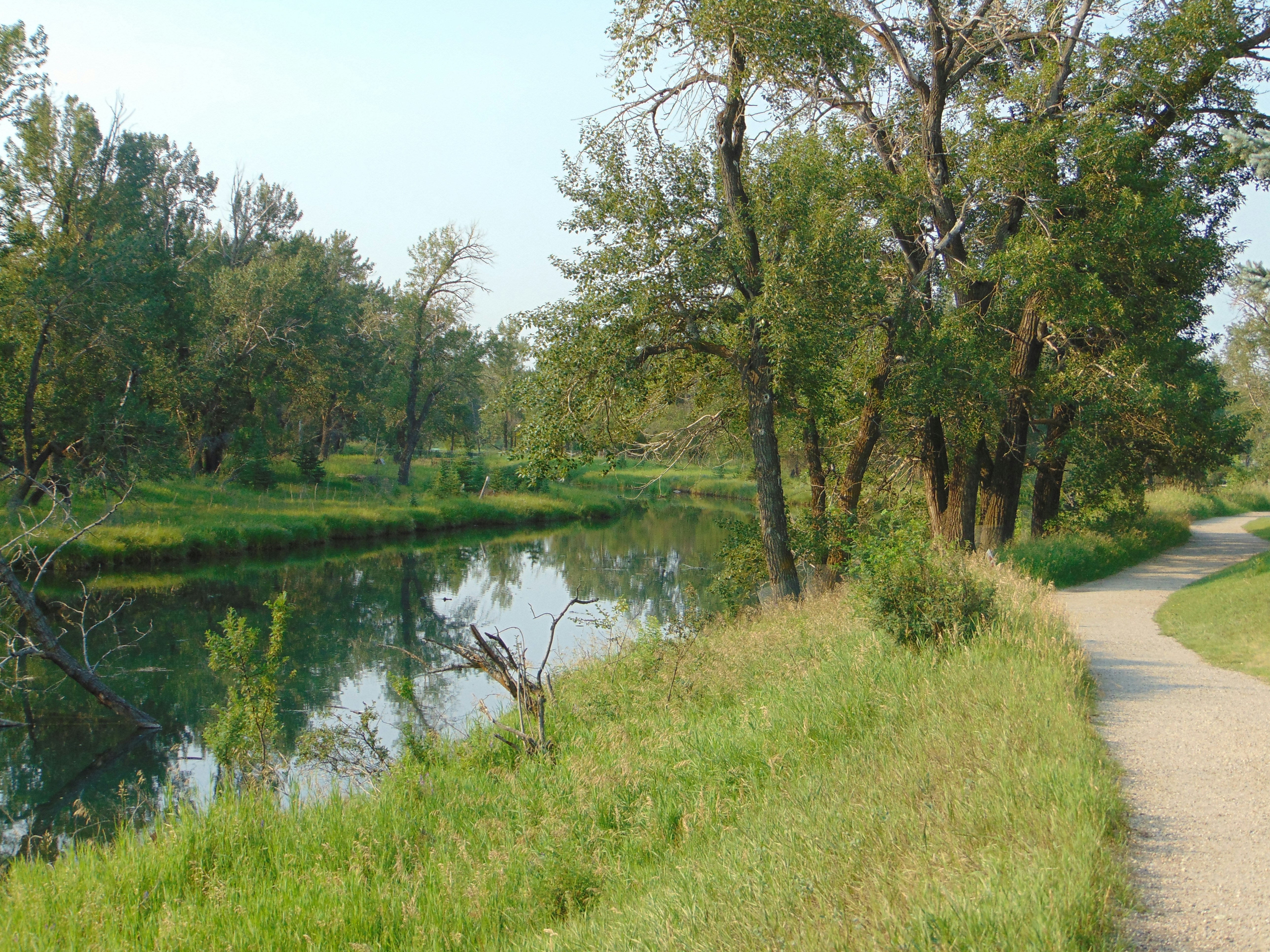 Curved path alongside a calm river bordered by lush green trees under a clear sky.