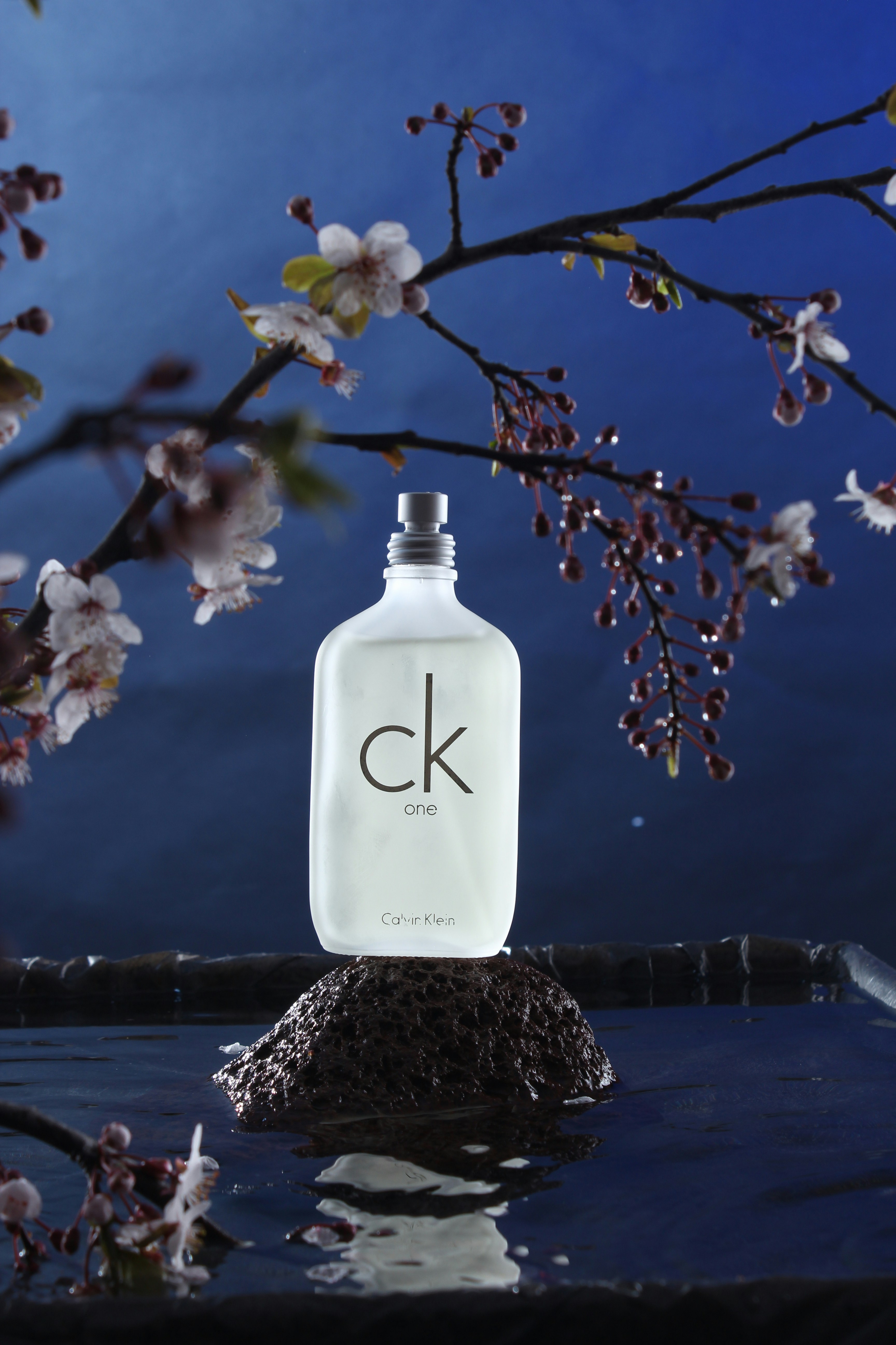 Essence of Serenity: A Fragrant Oasis
