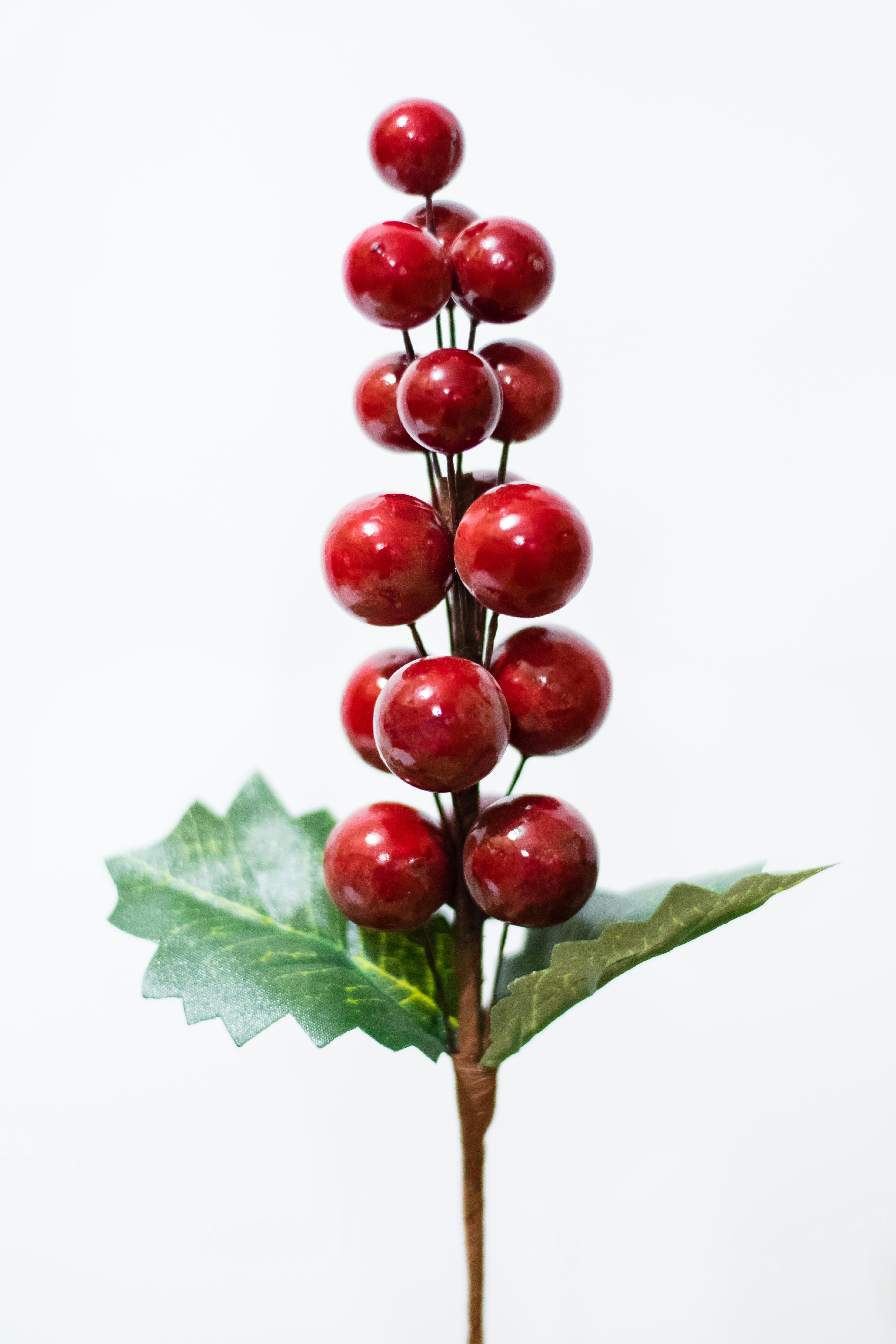 Crimson Monolith: a single berry-laden stem against a stark white canvas