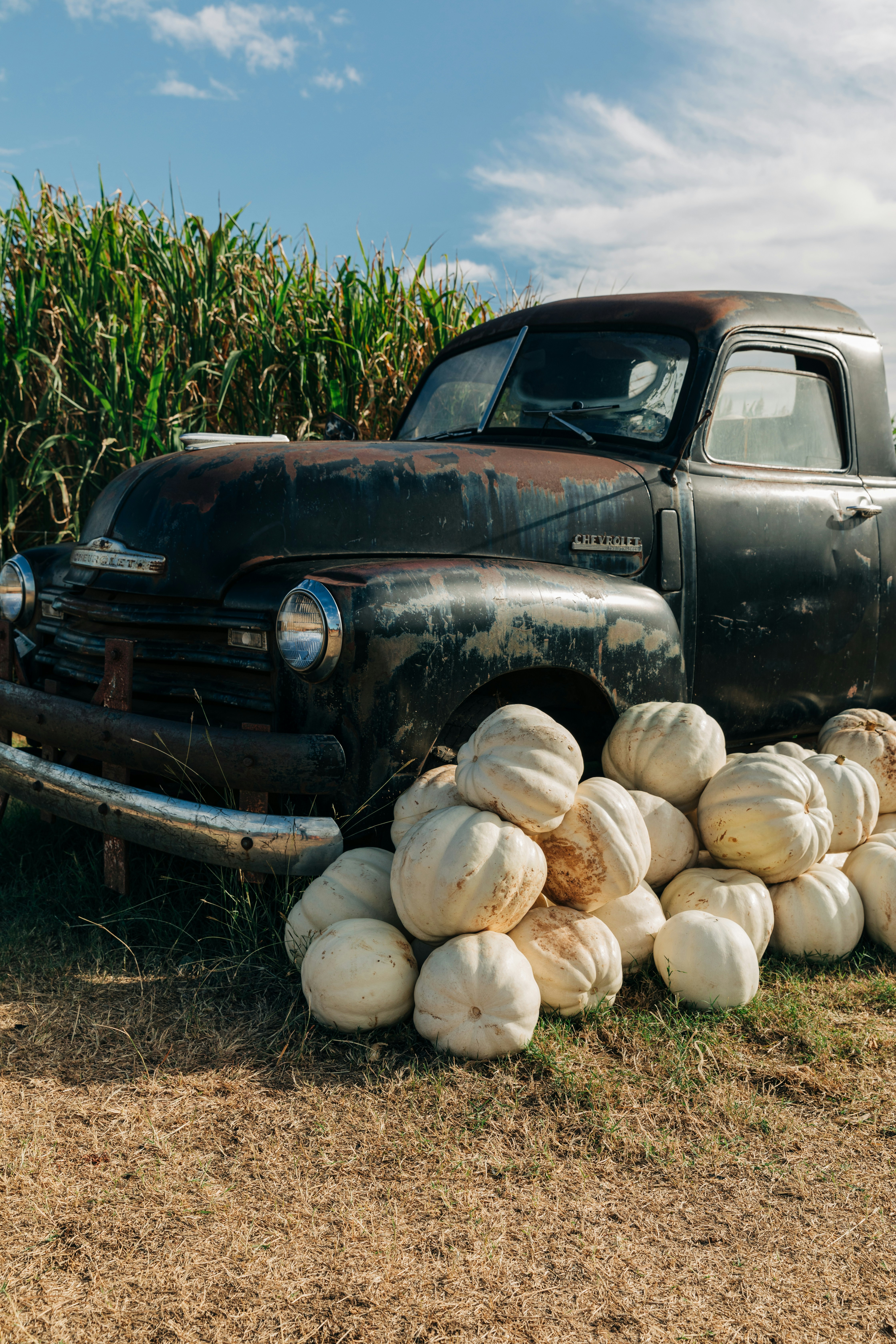 A car with a pile of logs photo – Free Marble falls Image on Unsplash