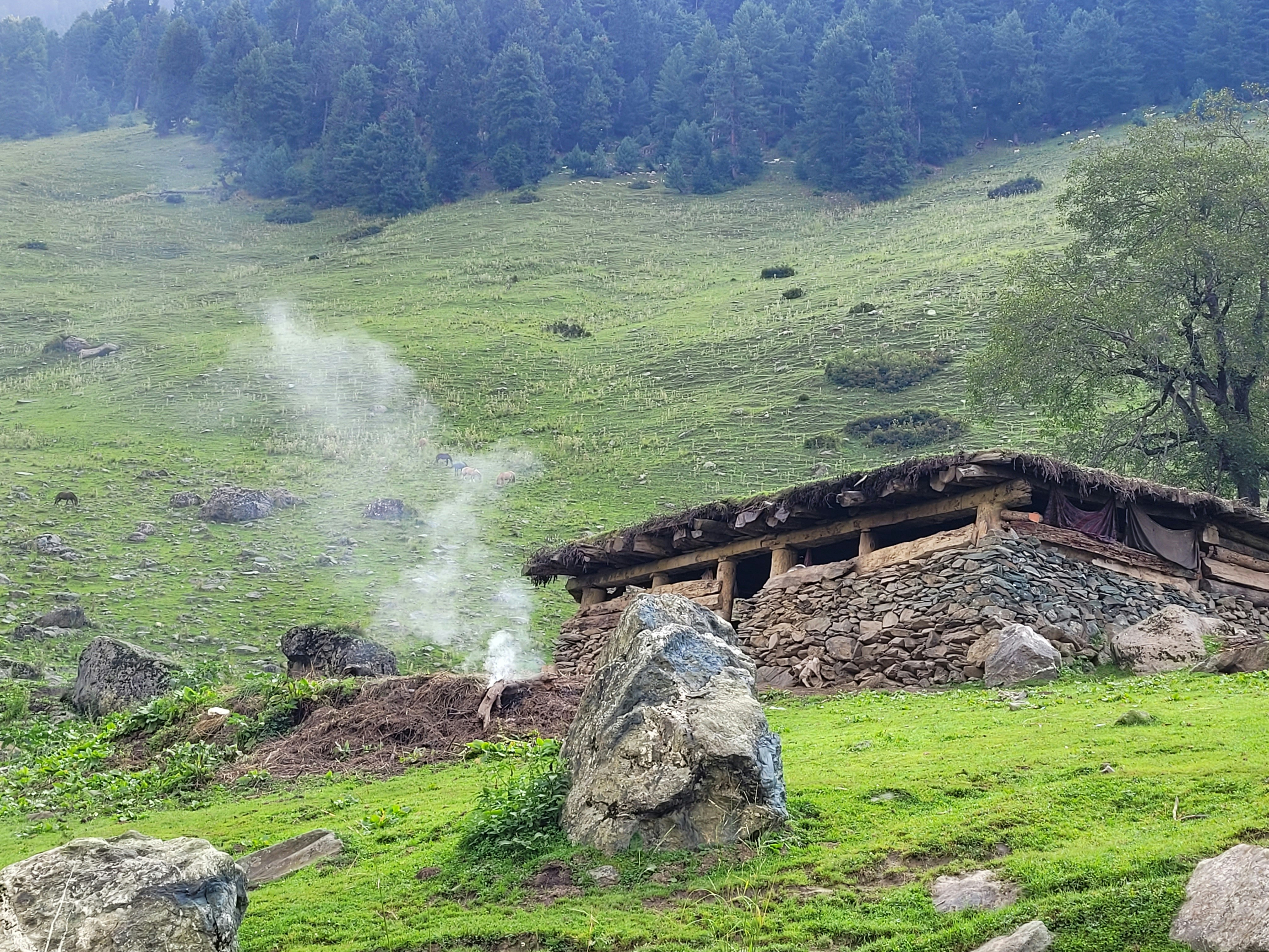 Smoke over the Stone Hut on a Green Alpine Slope