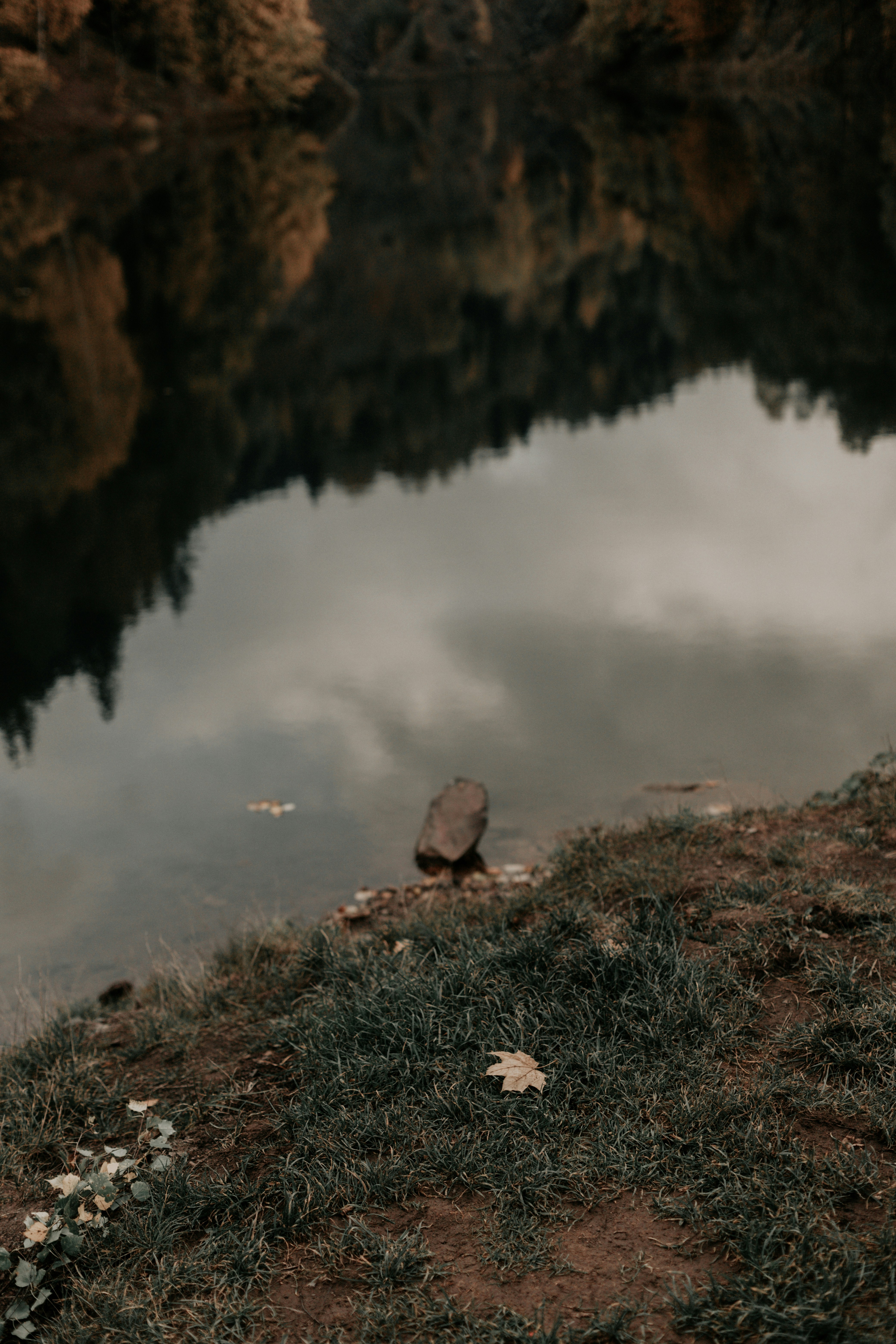 Free Nature Image on Unsplash