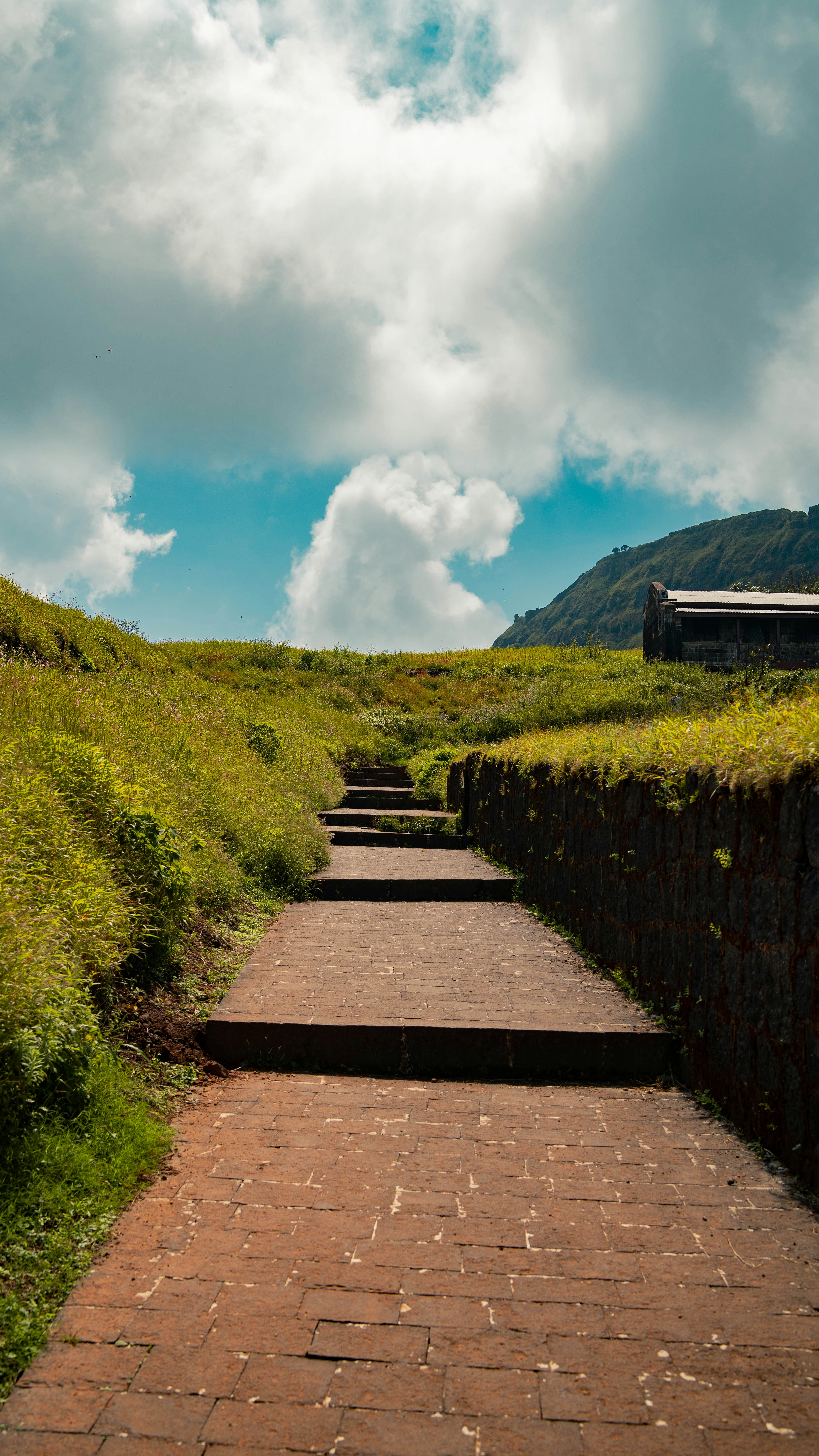 Pathway to Serenity: A Journey Through Nature's Embrace