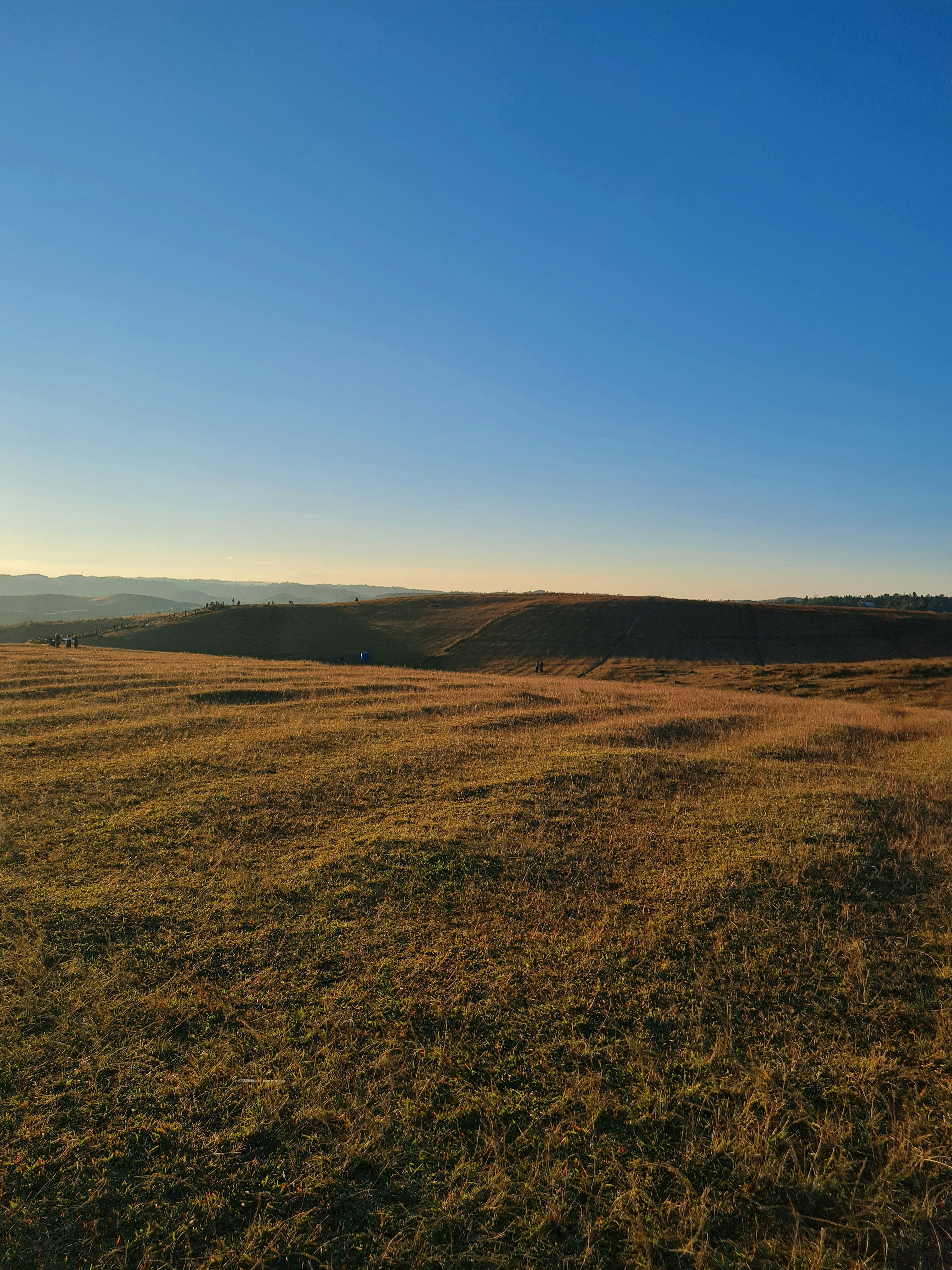 A large open field photo – Free Meghalaya Image on Unsplash