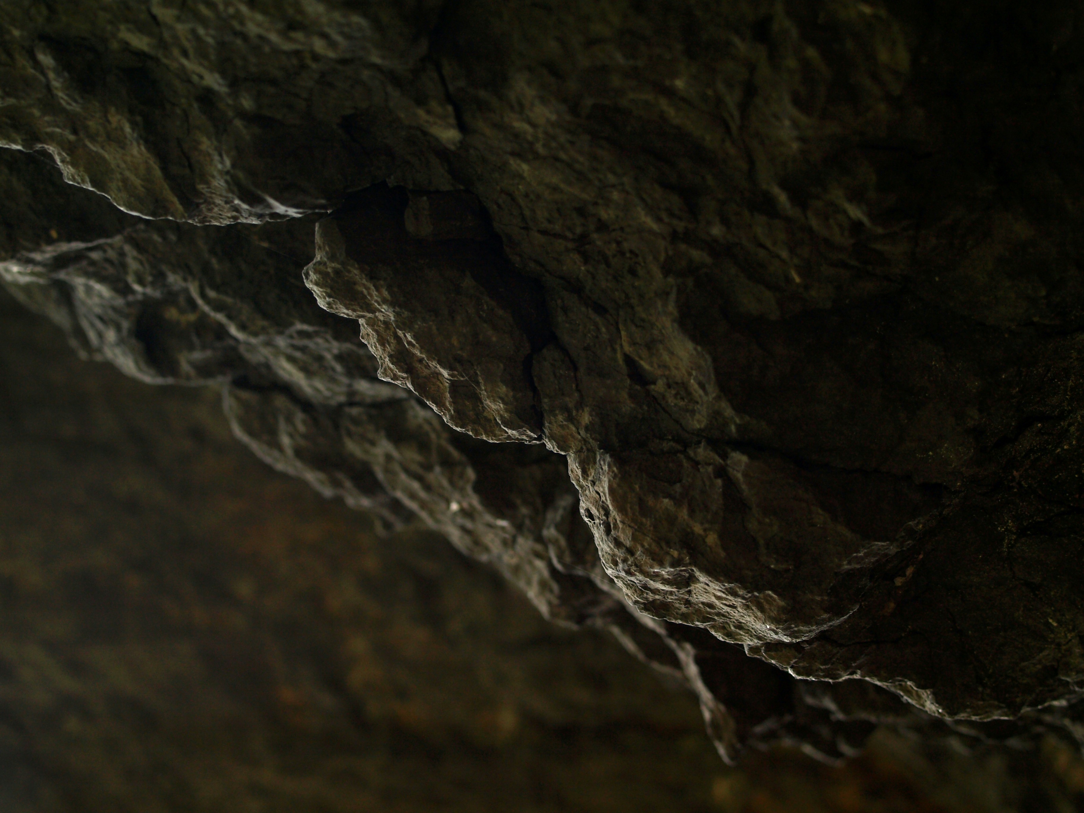 Intricate textures of a rocky cave ceiling illuminated by soft light, revealing the passage of time through nature's artistry.