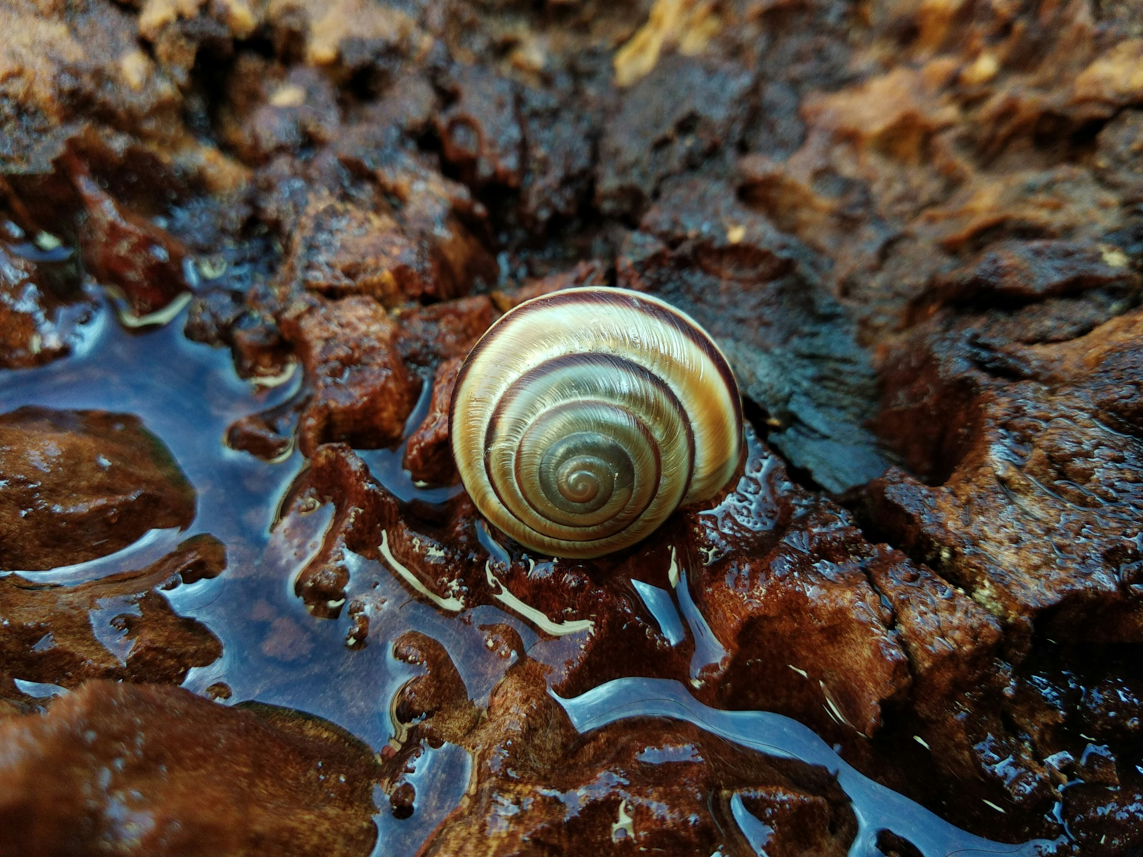 Photo by Anna Evans with Xiaomi Redmi 5 Plus