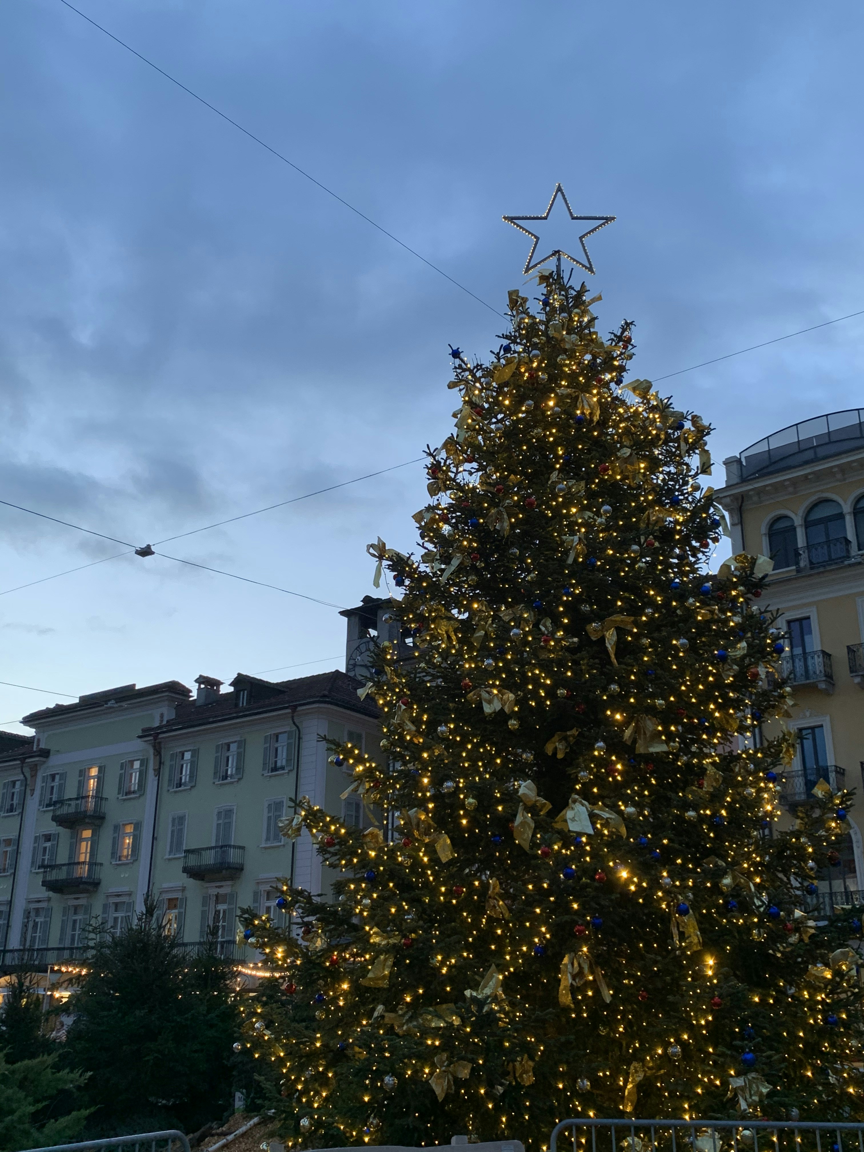 Star-Topped Christmas Tree Anchors a Quiet City Square at Dusk