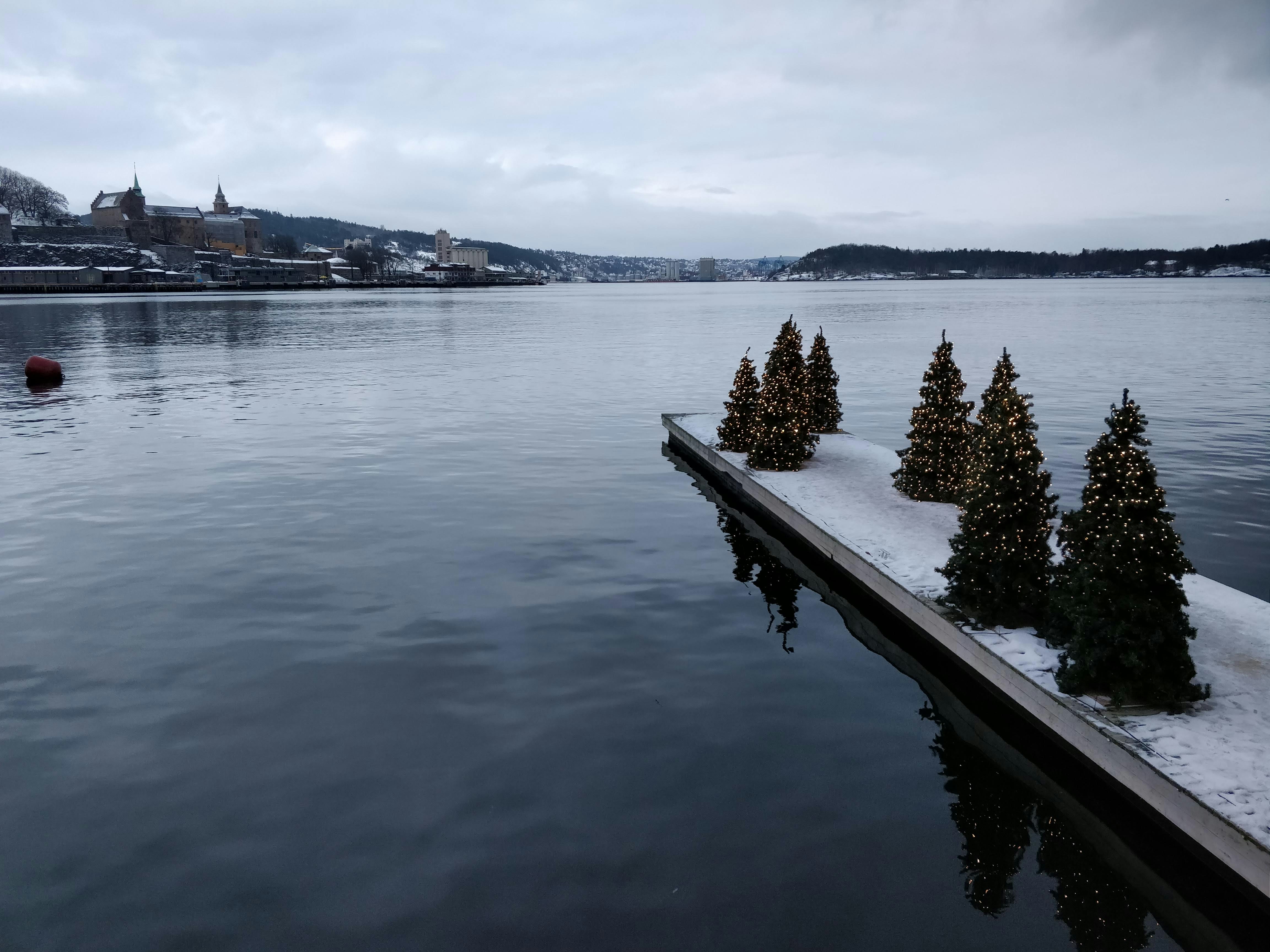 Winter Docks: A Frosted Harbor’s Quiet Edge