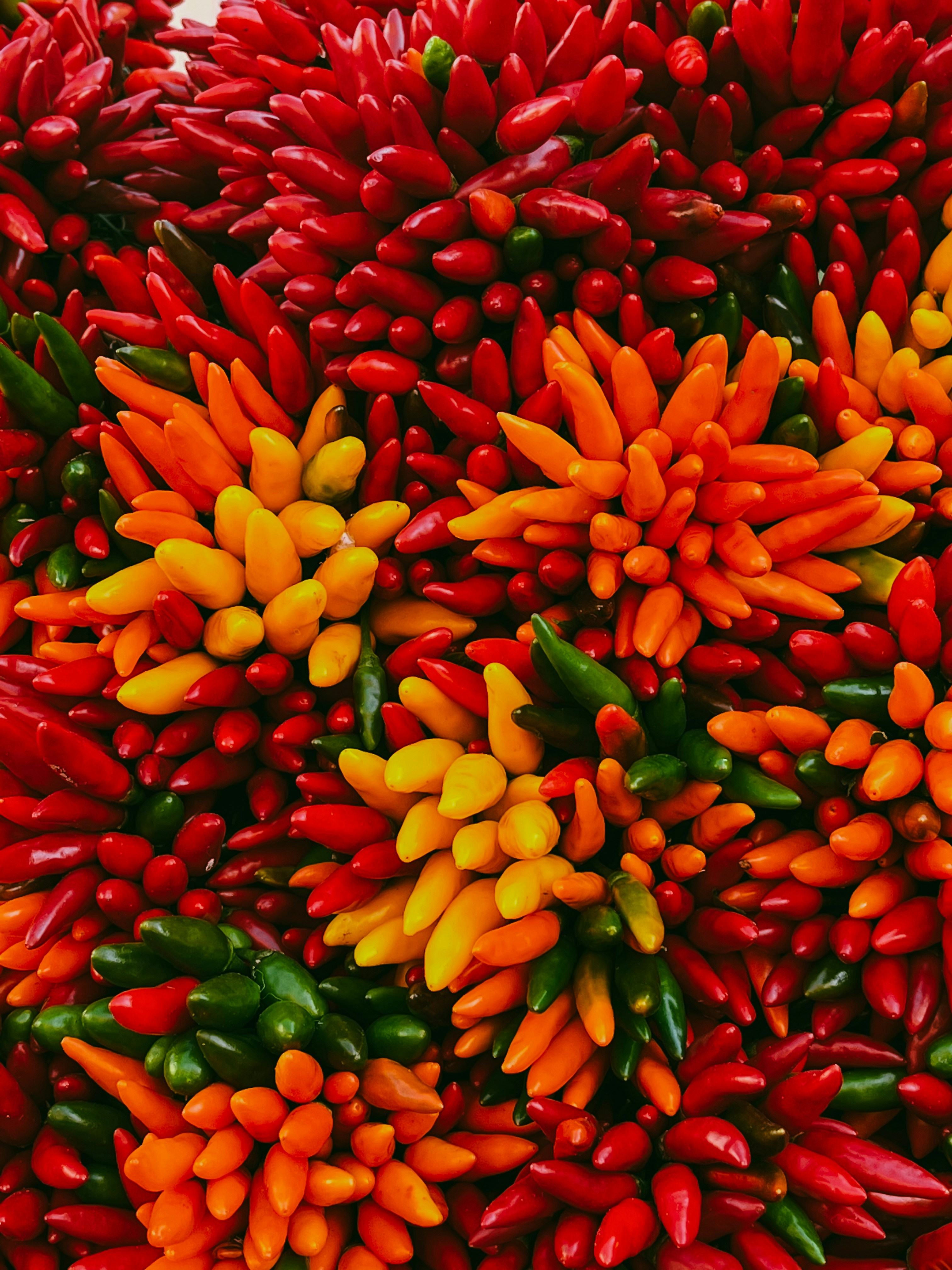 a pile of colorful candy