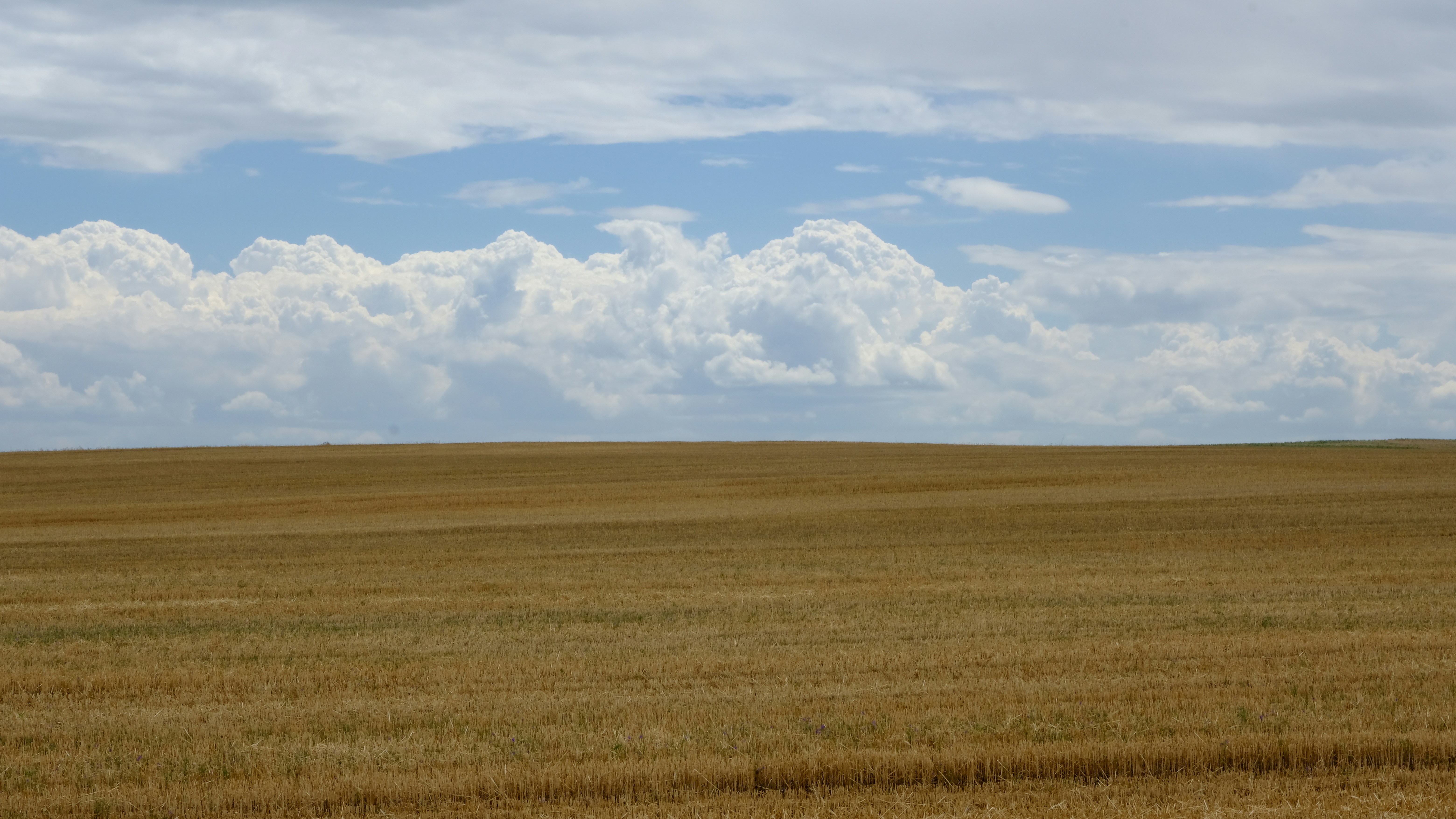 Ein großes offenes Feld mit Wolken am Himmel Foto – Kostenloses Bild ...