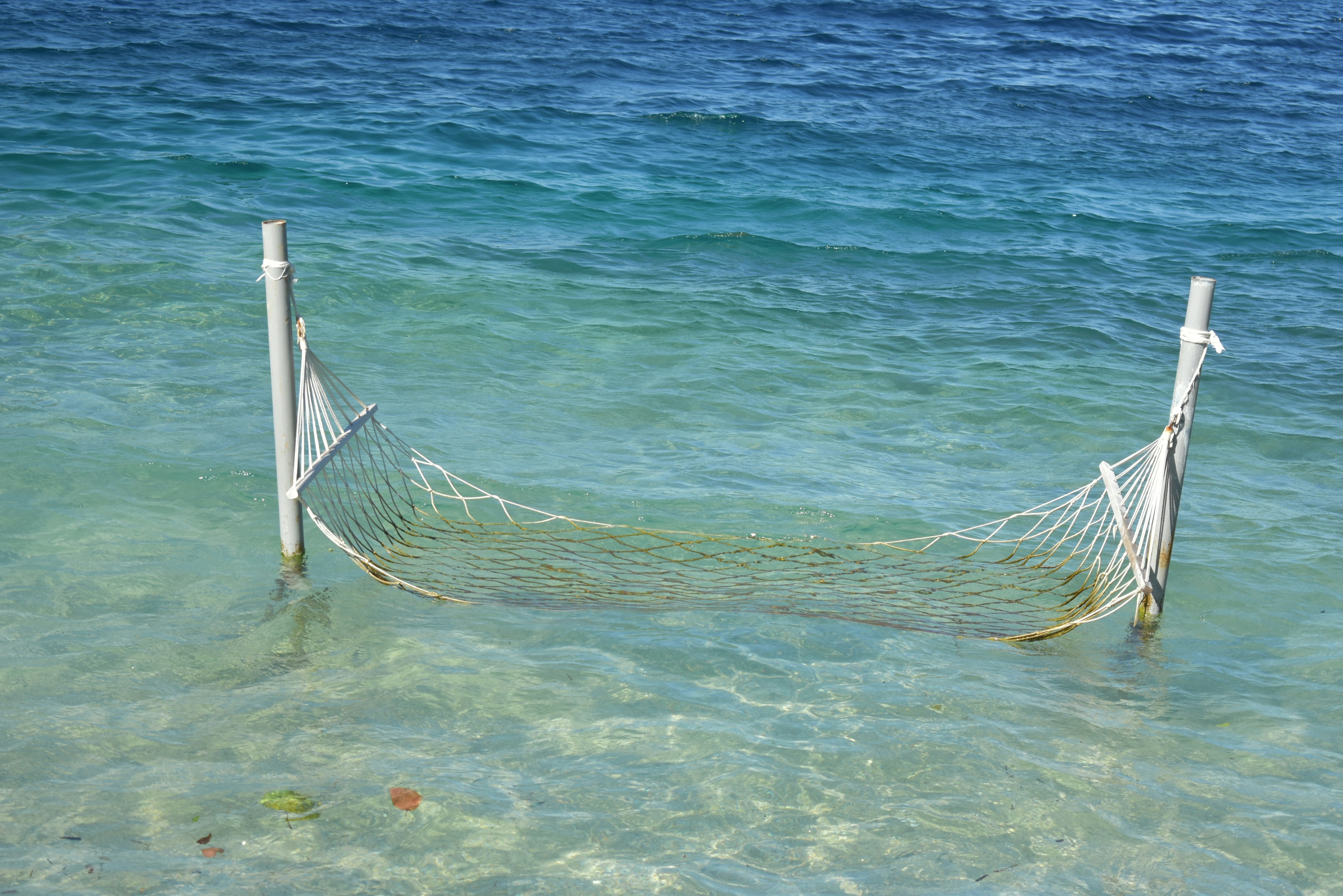 Serenity in Suspension: A Hammock's Embrace