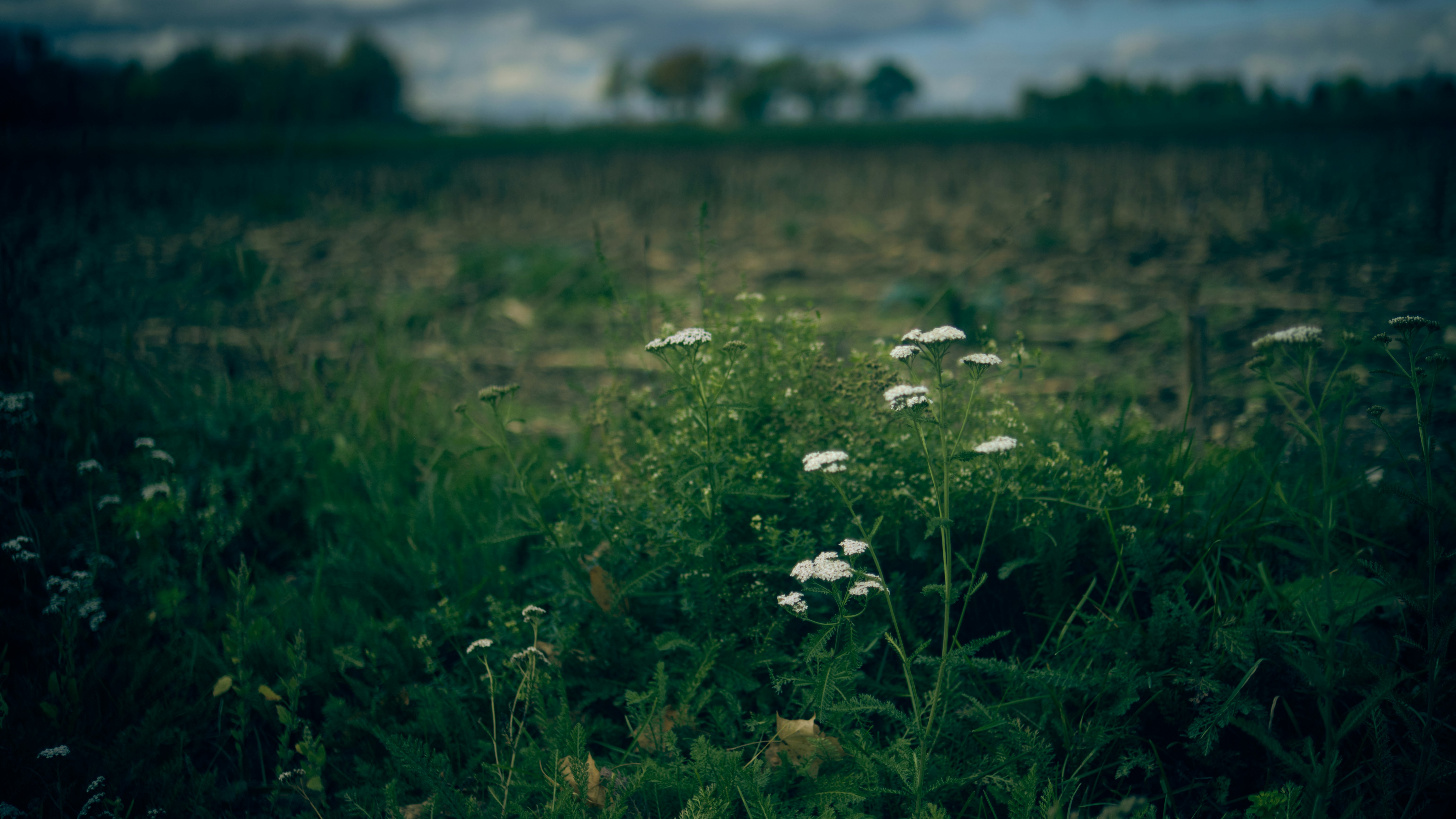 Photo by Michael Förtsch with Fujifilm X-T3