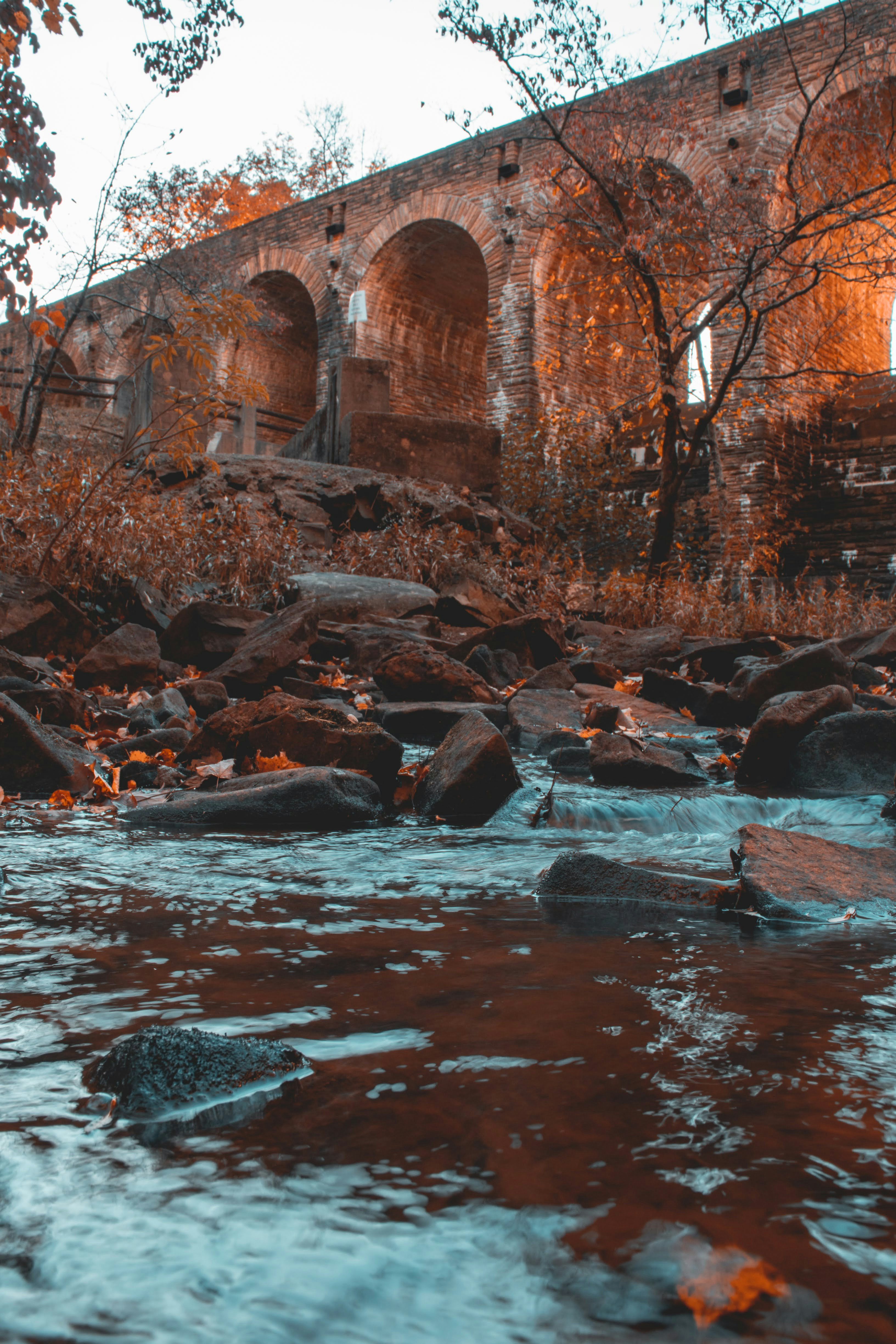 Photo by Brice Cooper with Canon EOS 250D