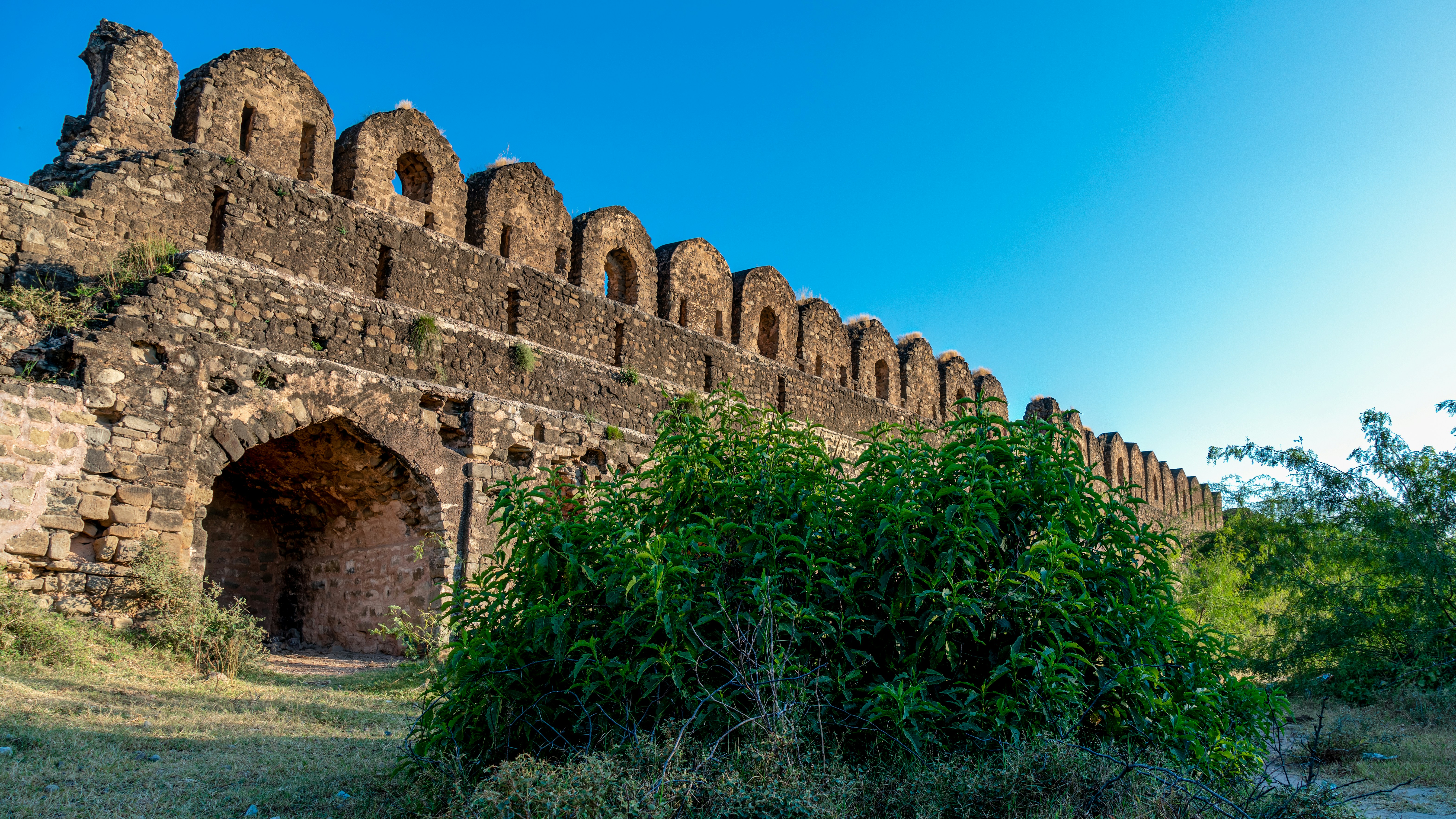 Photo by GhulamRasool Butt with Sony Alpha 7 IV