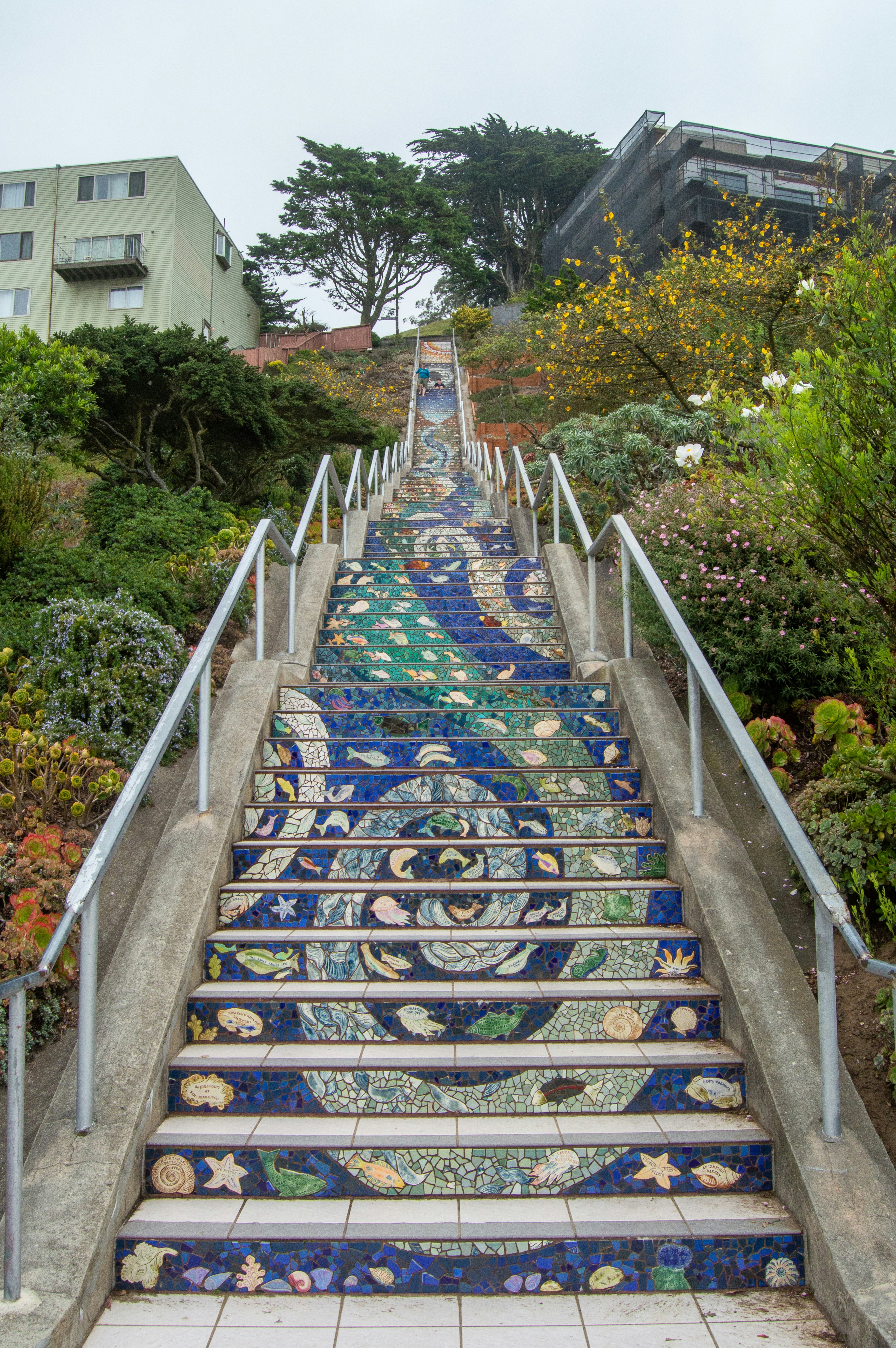Staircase Mosaic: Tide-Blue Tiles Ascend toward a Green Summit