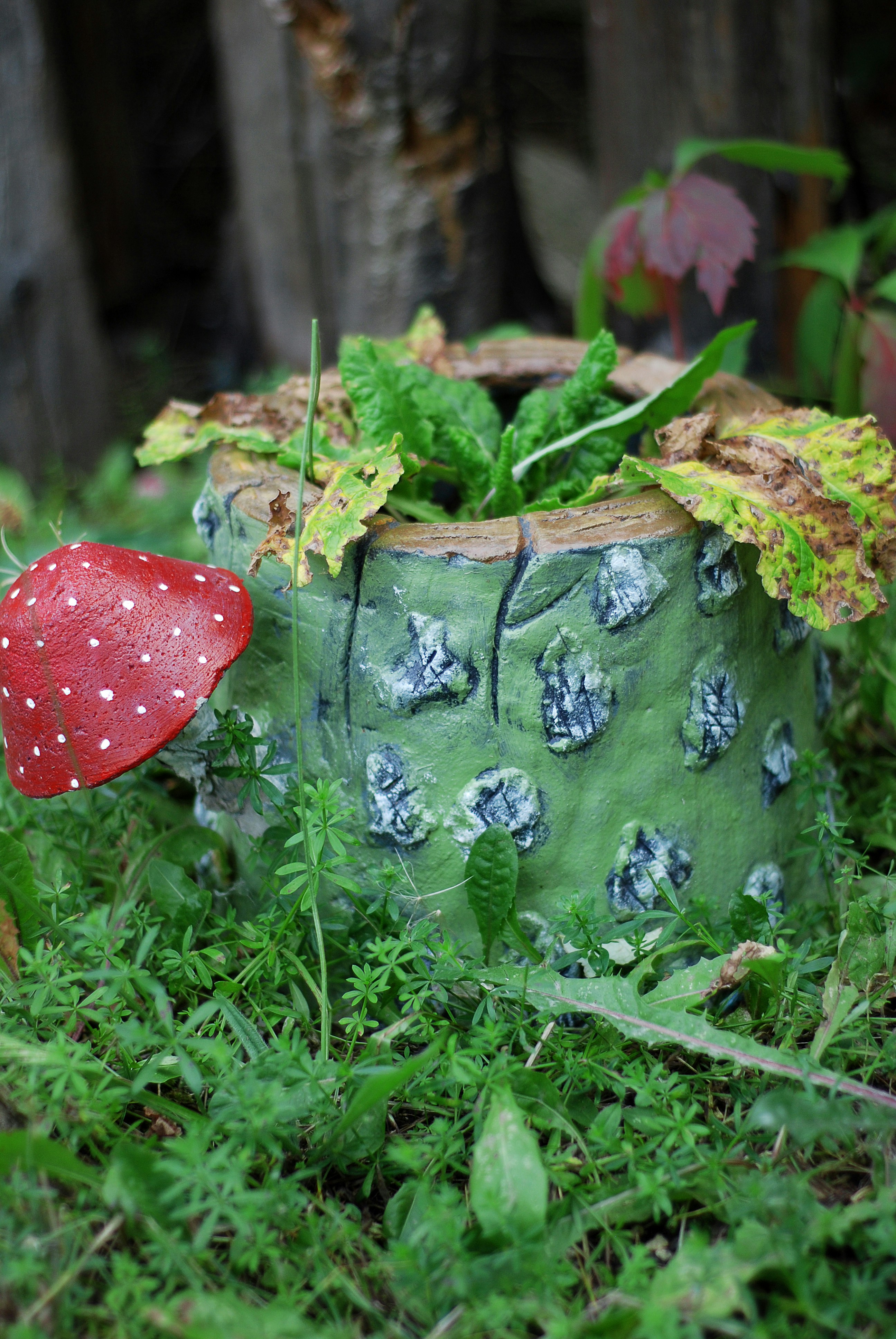 Scarlet Amanita at the Mossy Ceramic Pot
