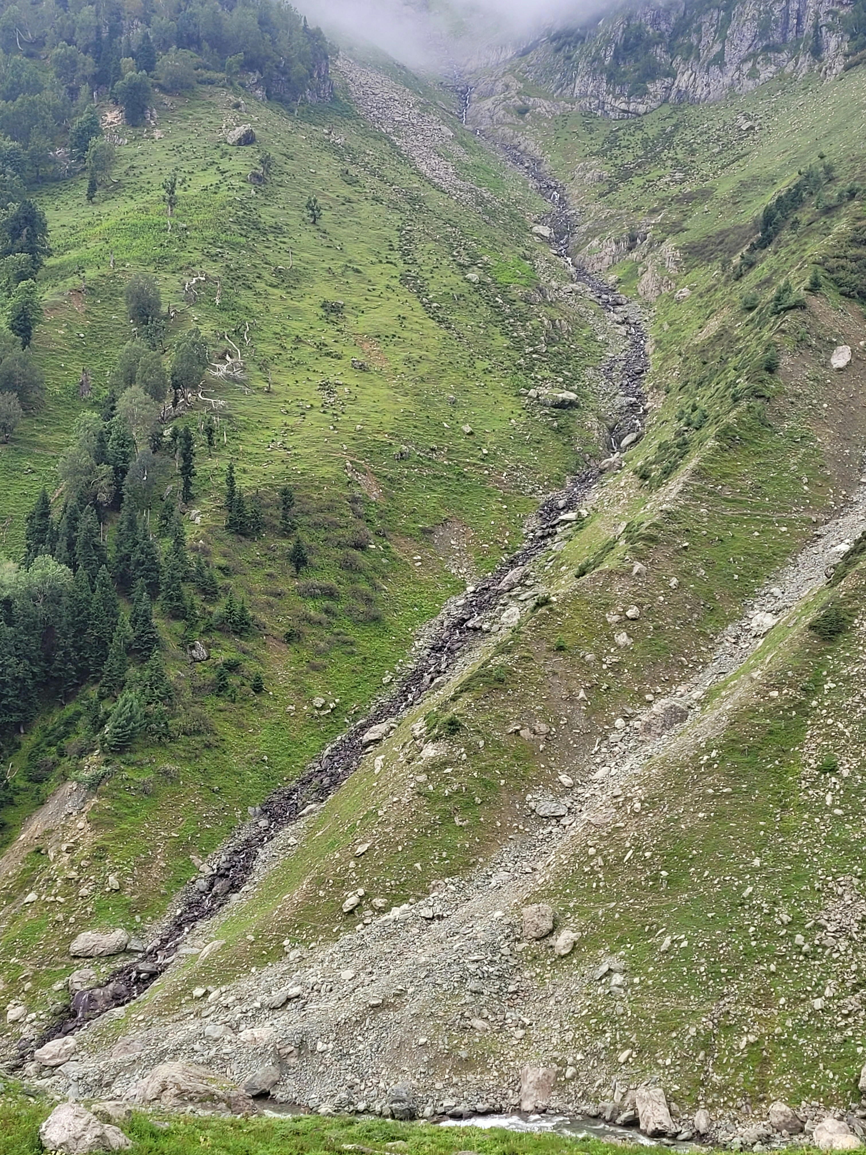 Diagonal Scree Across a Green Alpine Face