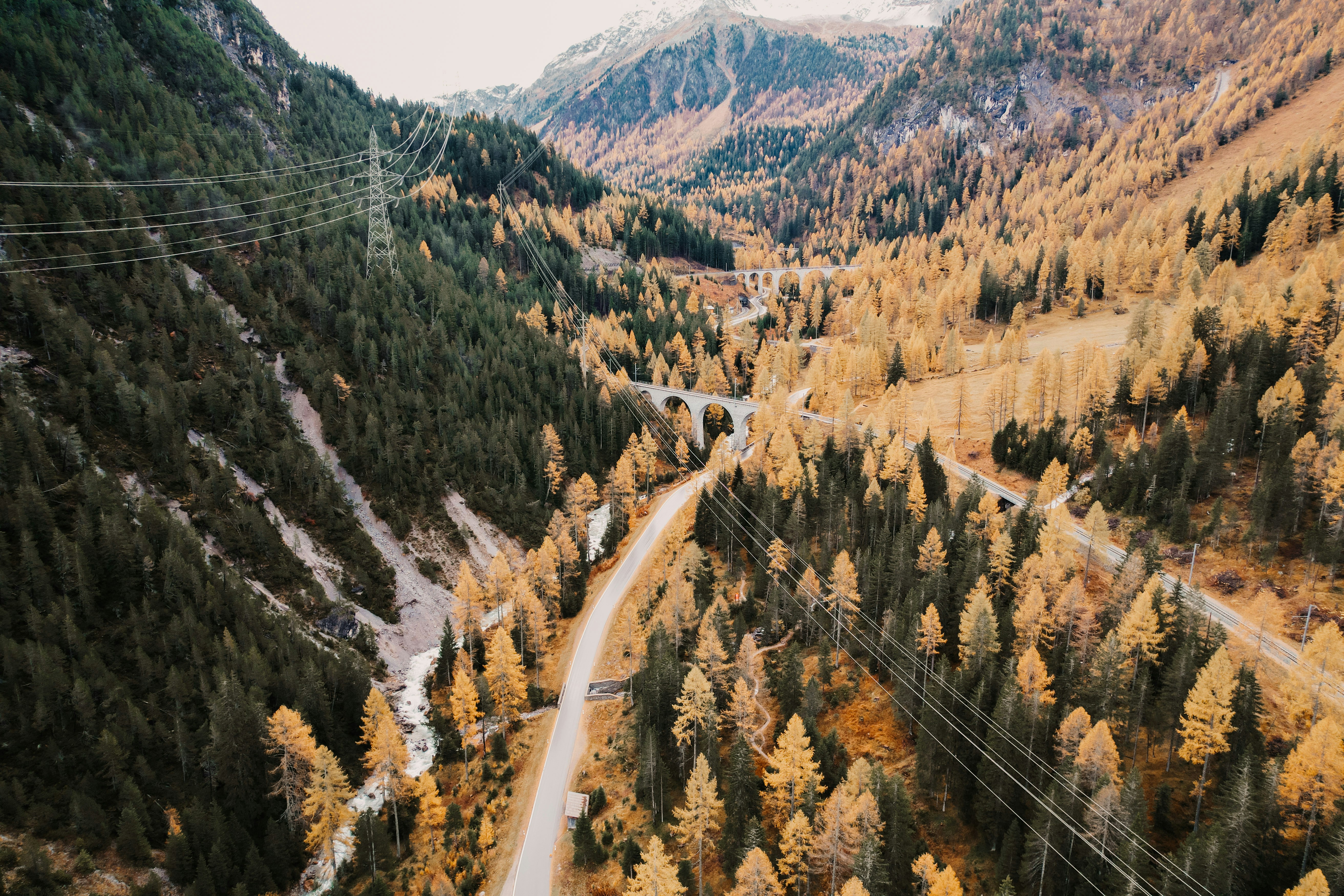 A winding road cuts through a forest of golden autumn trees beneath mountain peaks.