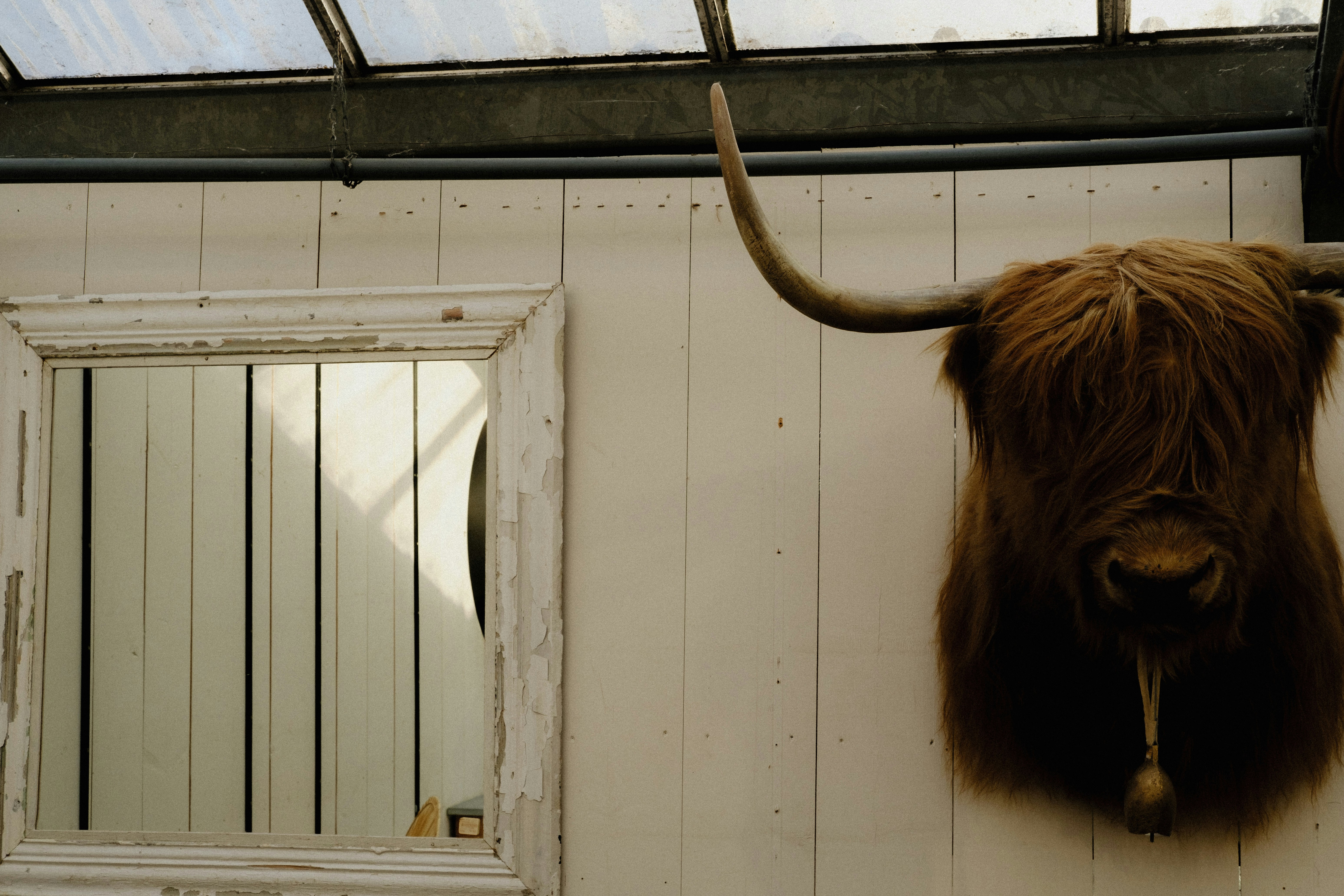 Photo by Mathias Reding with Fujifilm X-T4