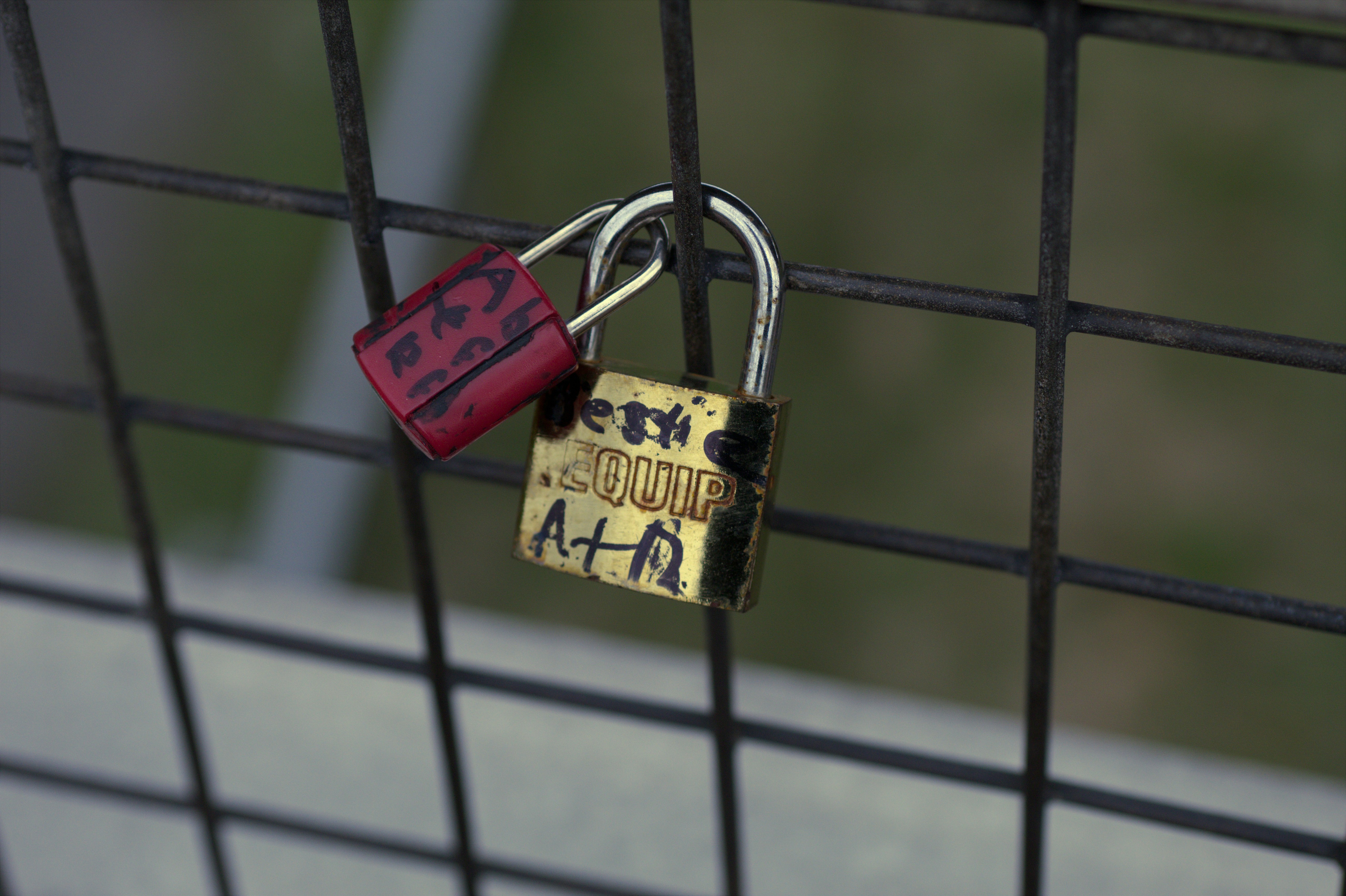 A pair of stop signs on a chain link fence photo – Free Bridge Image on ...