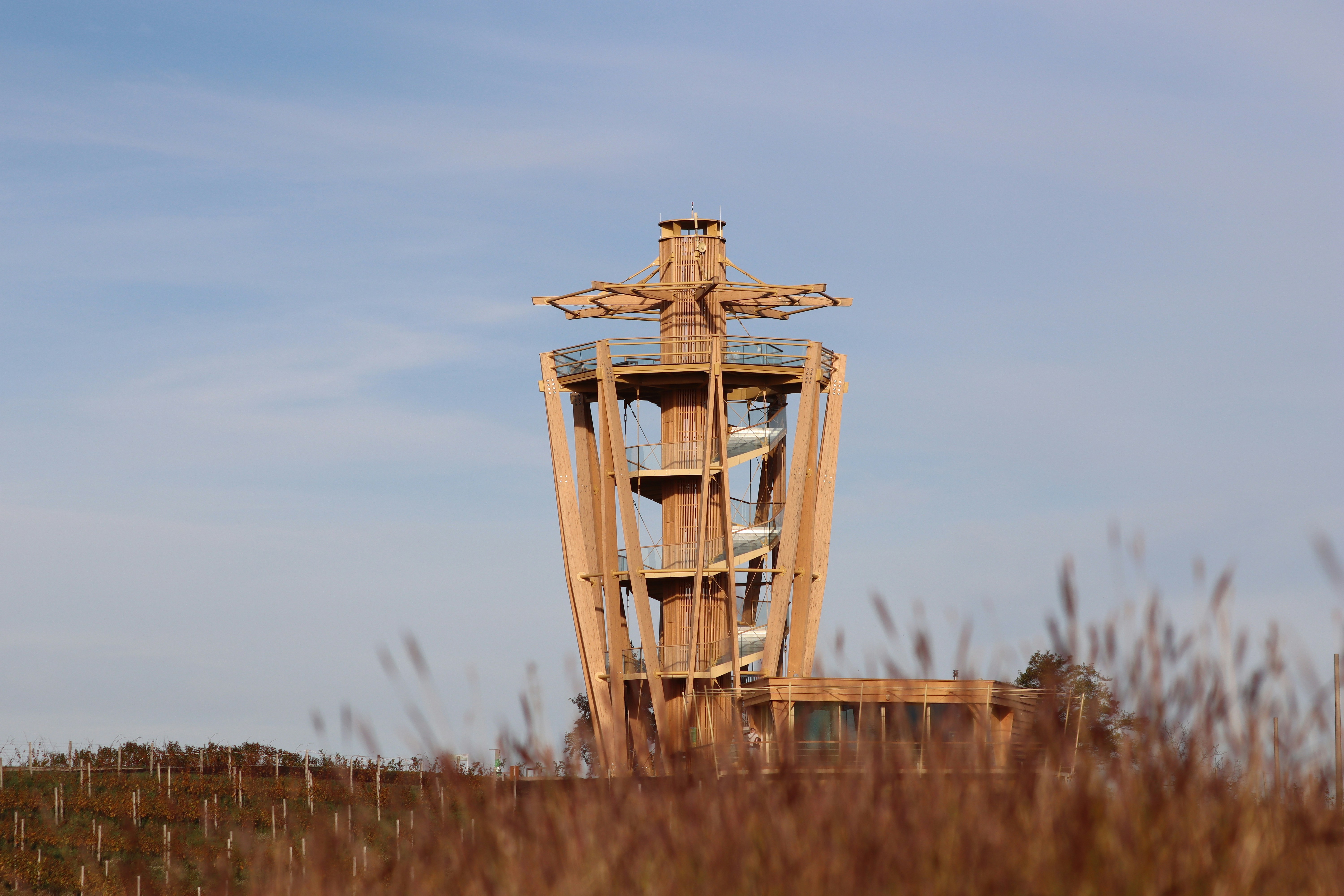 Weathered wooden lantern tower rising above a windswept meadow
