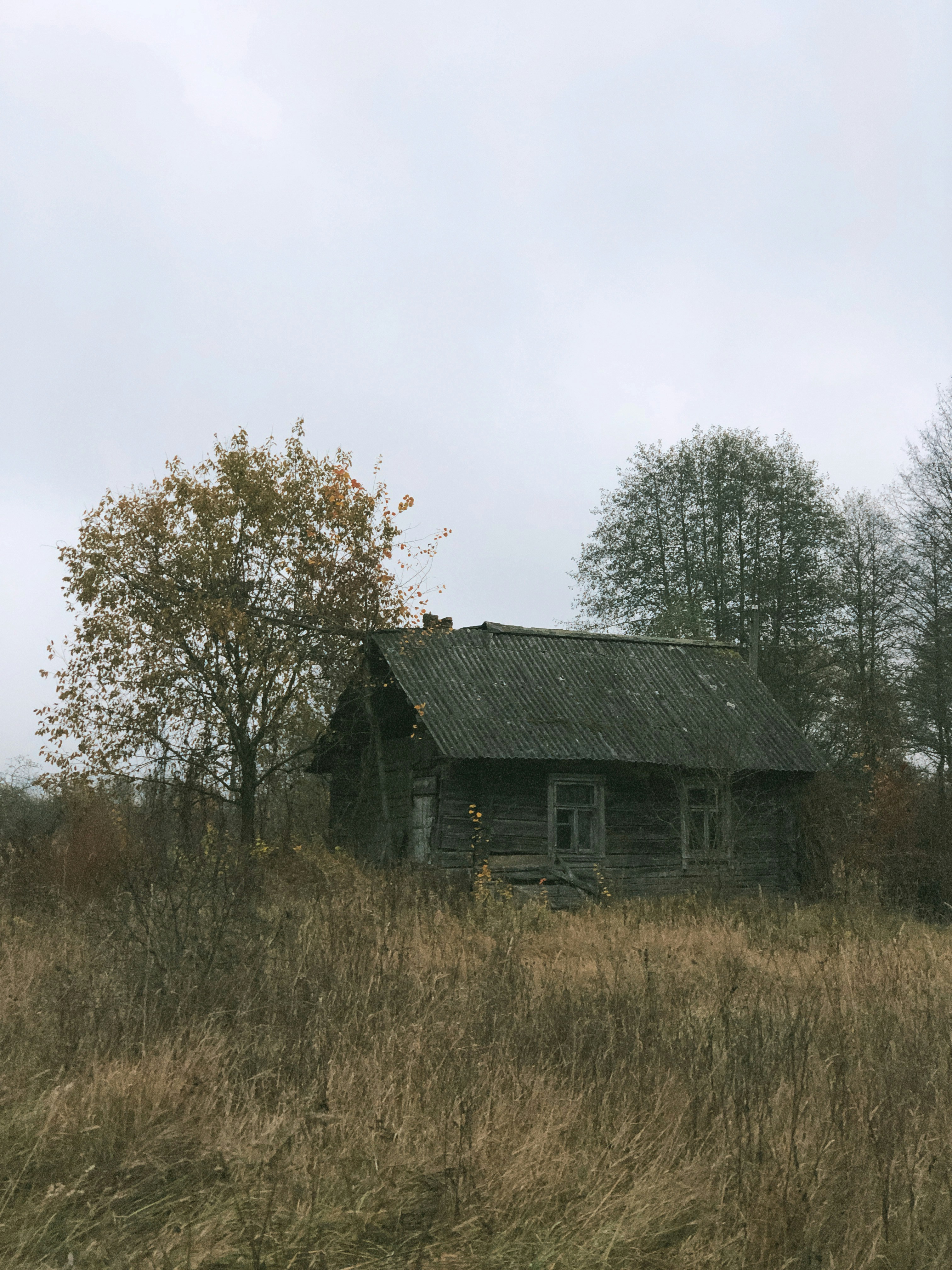 Photo by Lobacheva Ina with Apple iPhone X