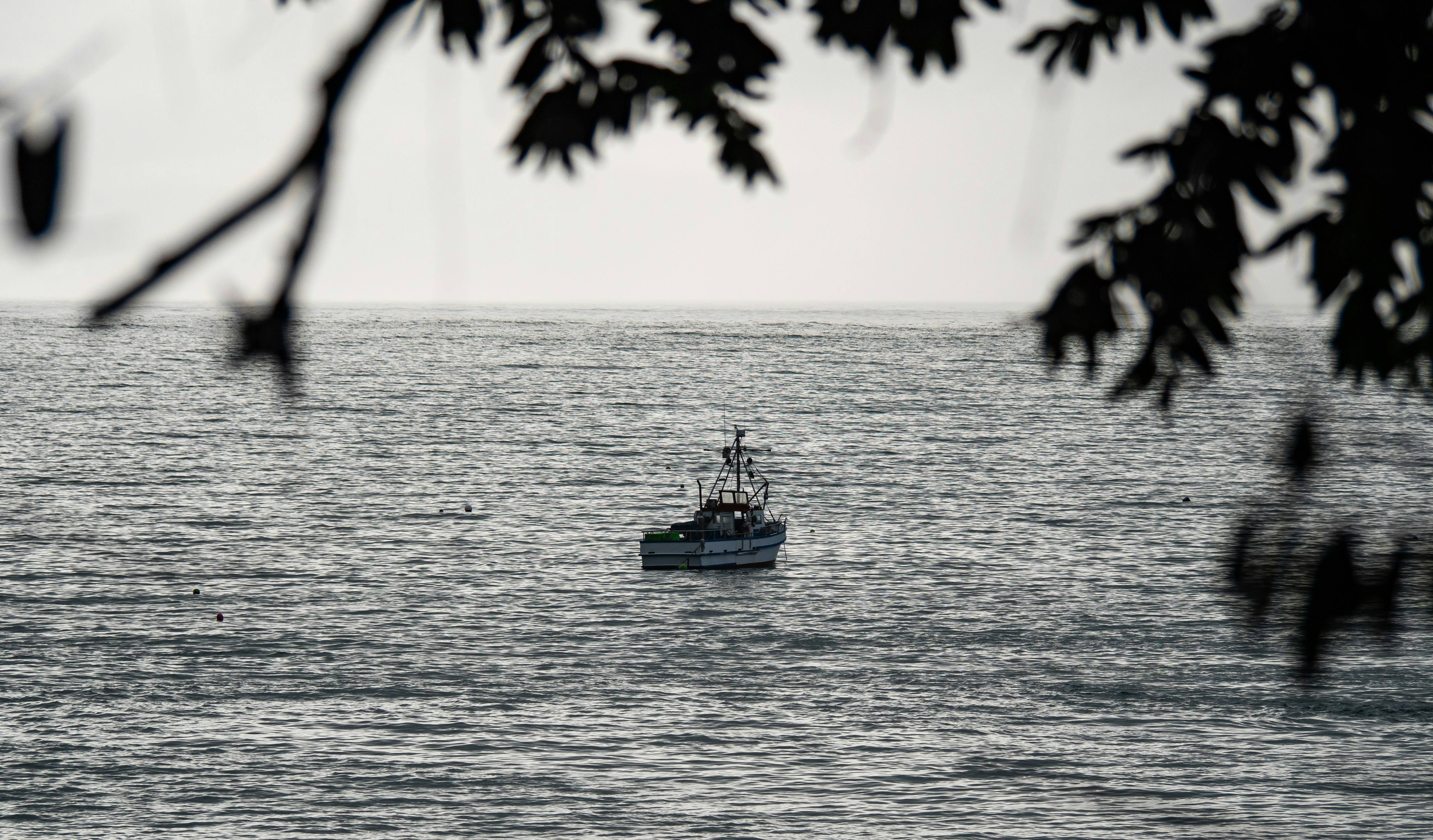 Foto Un barco en el agua – Imagen Bahía jackson gratis en Unsplash