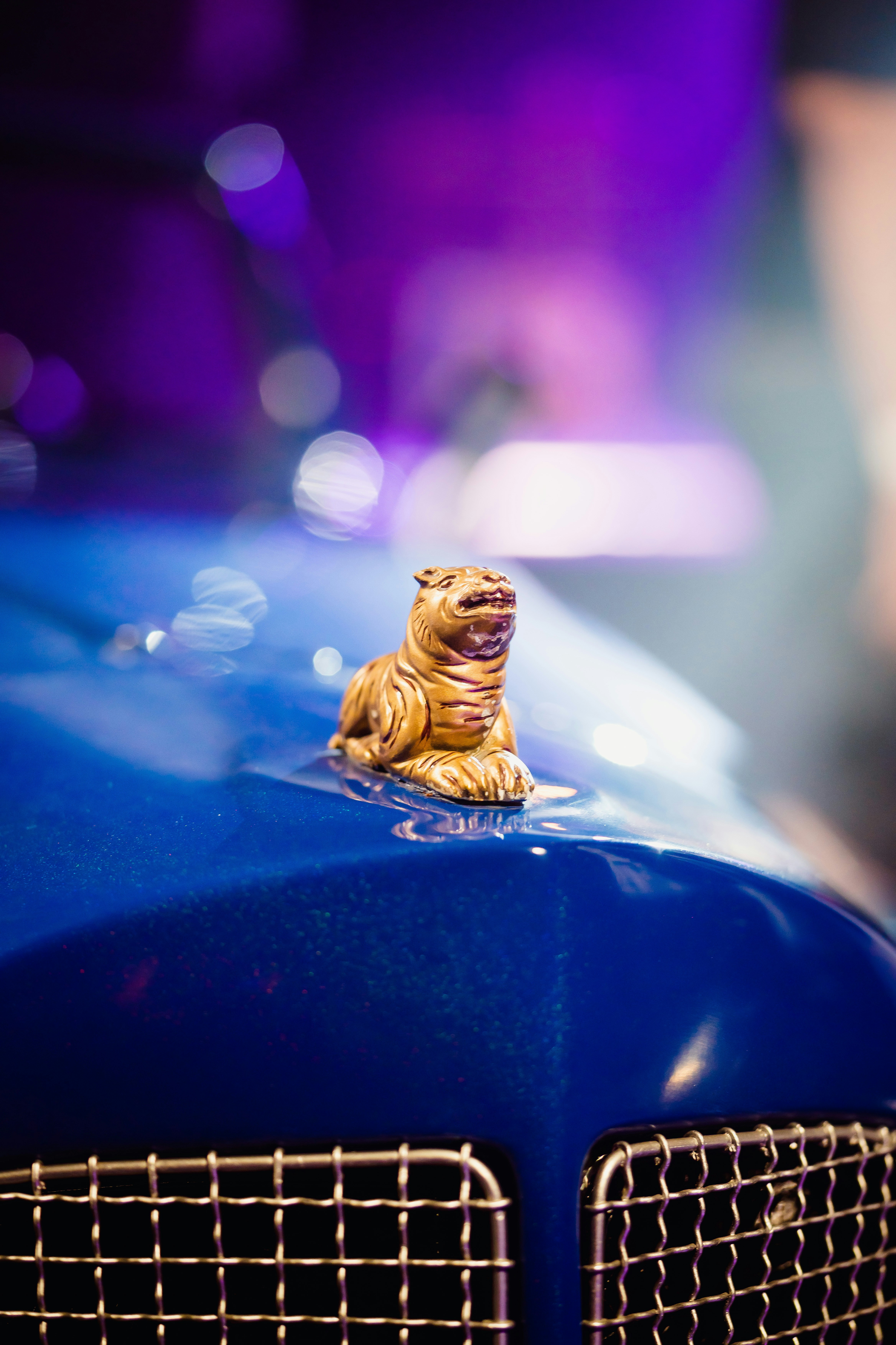 Tiny Tiger, Big Stage: A Hood Ornament on a Car's Blue Hood