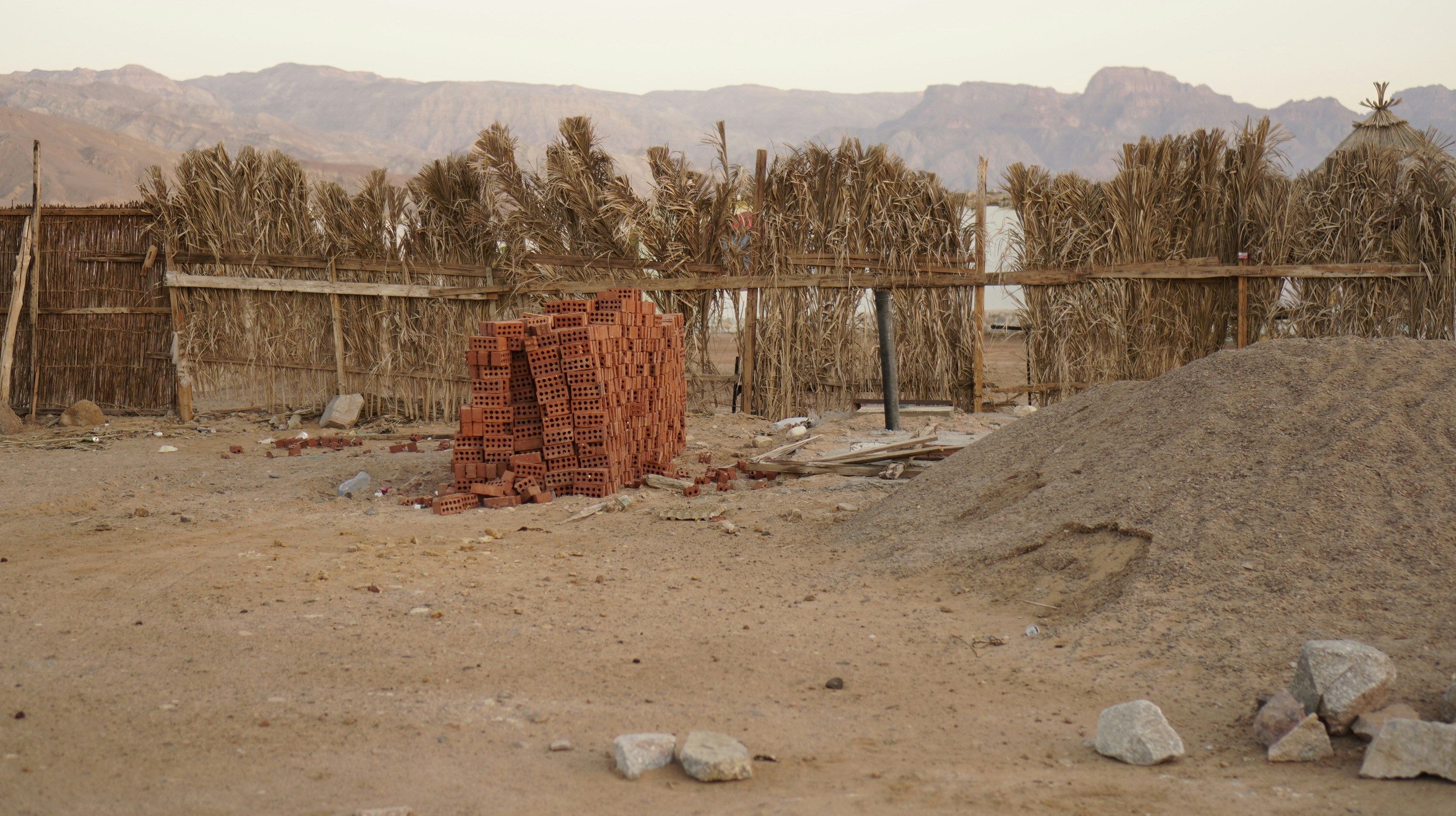 Green Prophet (@greenprophet) | Comunidade de fotos da Unsplash