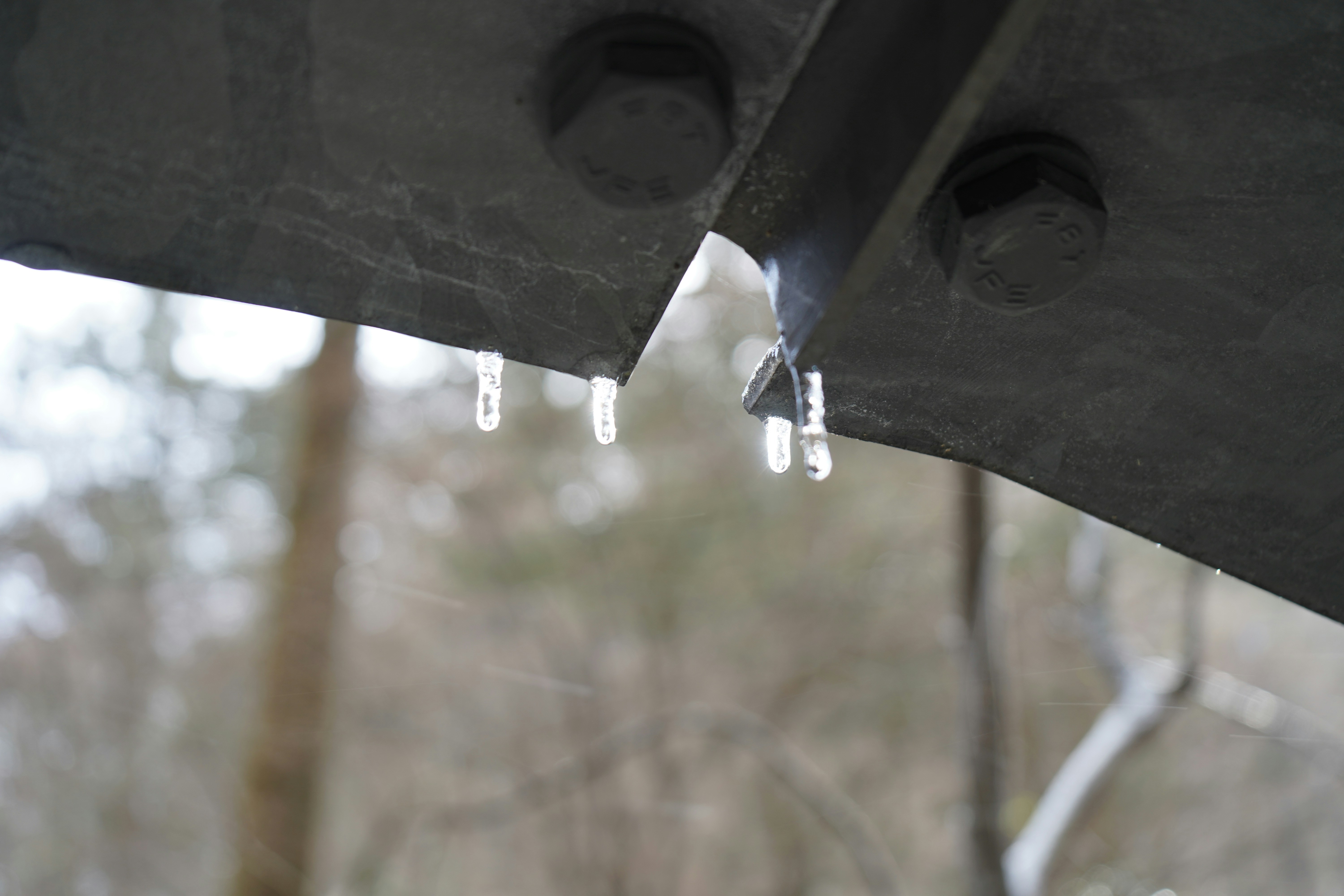 Icicle Edges: Winter Drops Framing a Quiet Forest