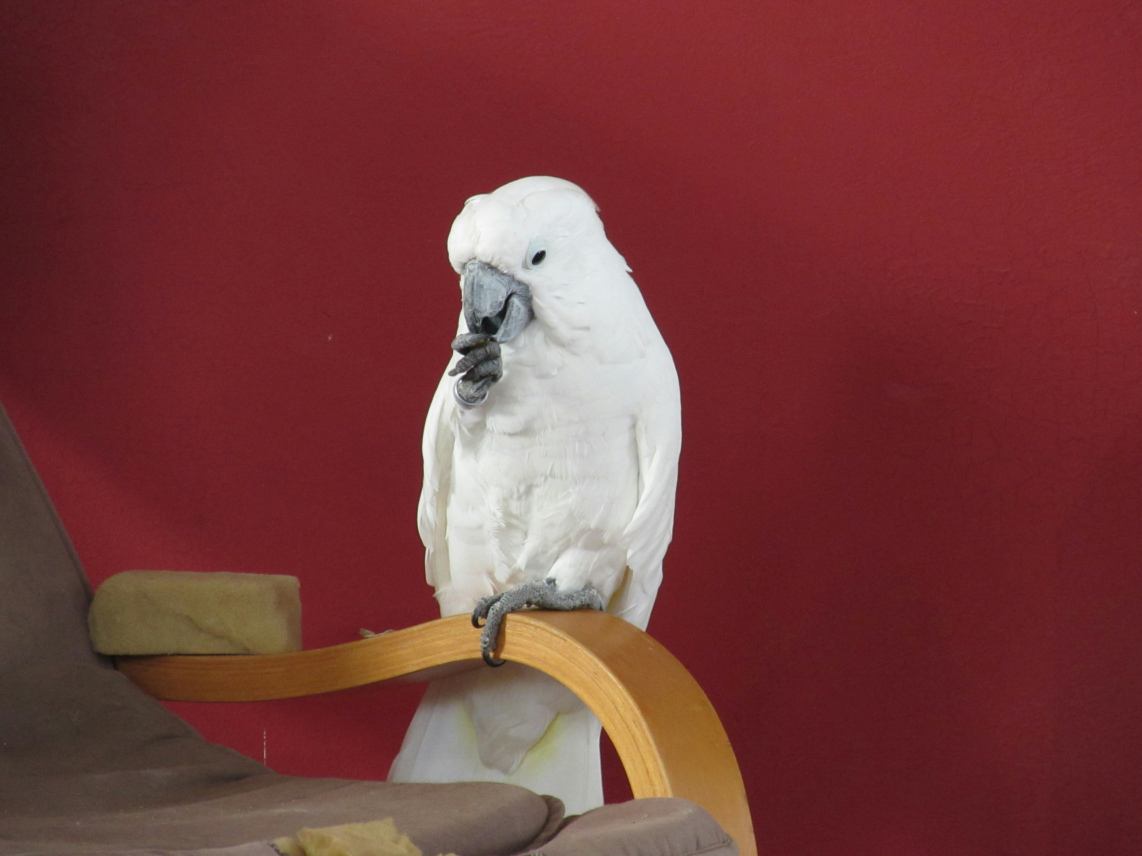 Sample photo from Canon PowerShot SX510 HS