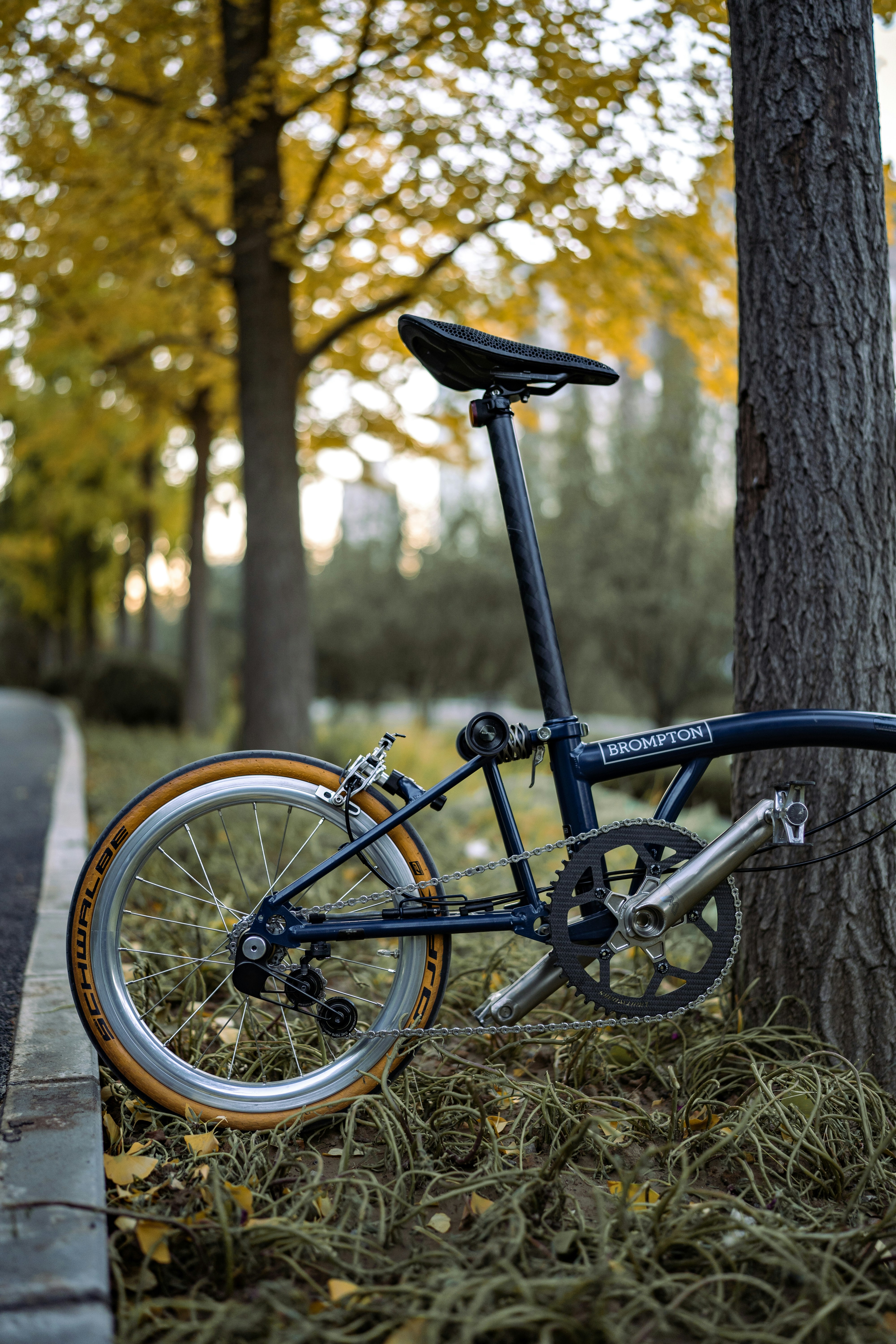 Brompton Photos | Télécharger des images gratuites sur Unsplash