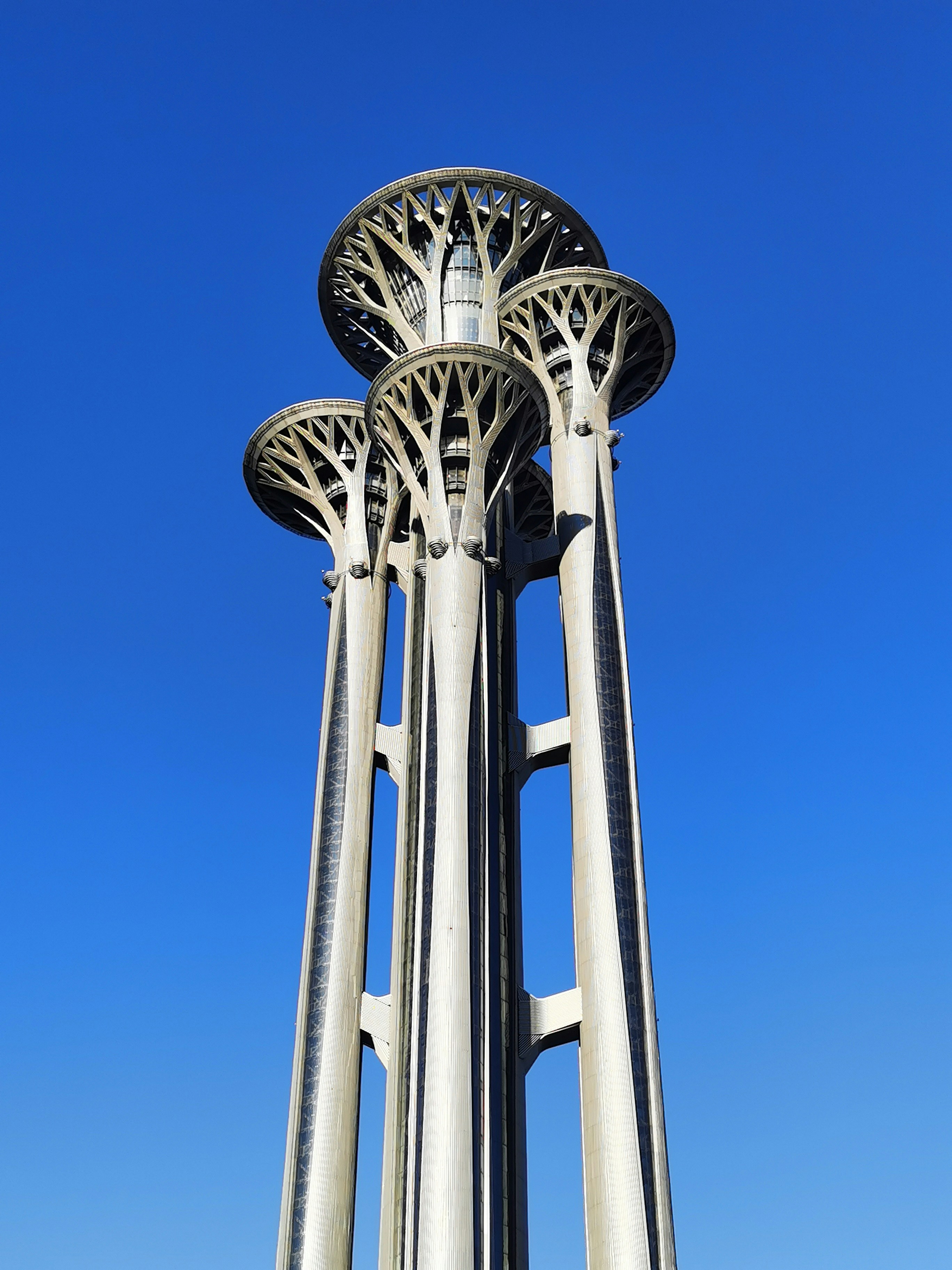 Cerulean Sky, Steel Canopies: The Supertree Towers