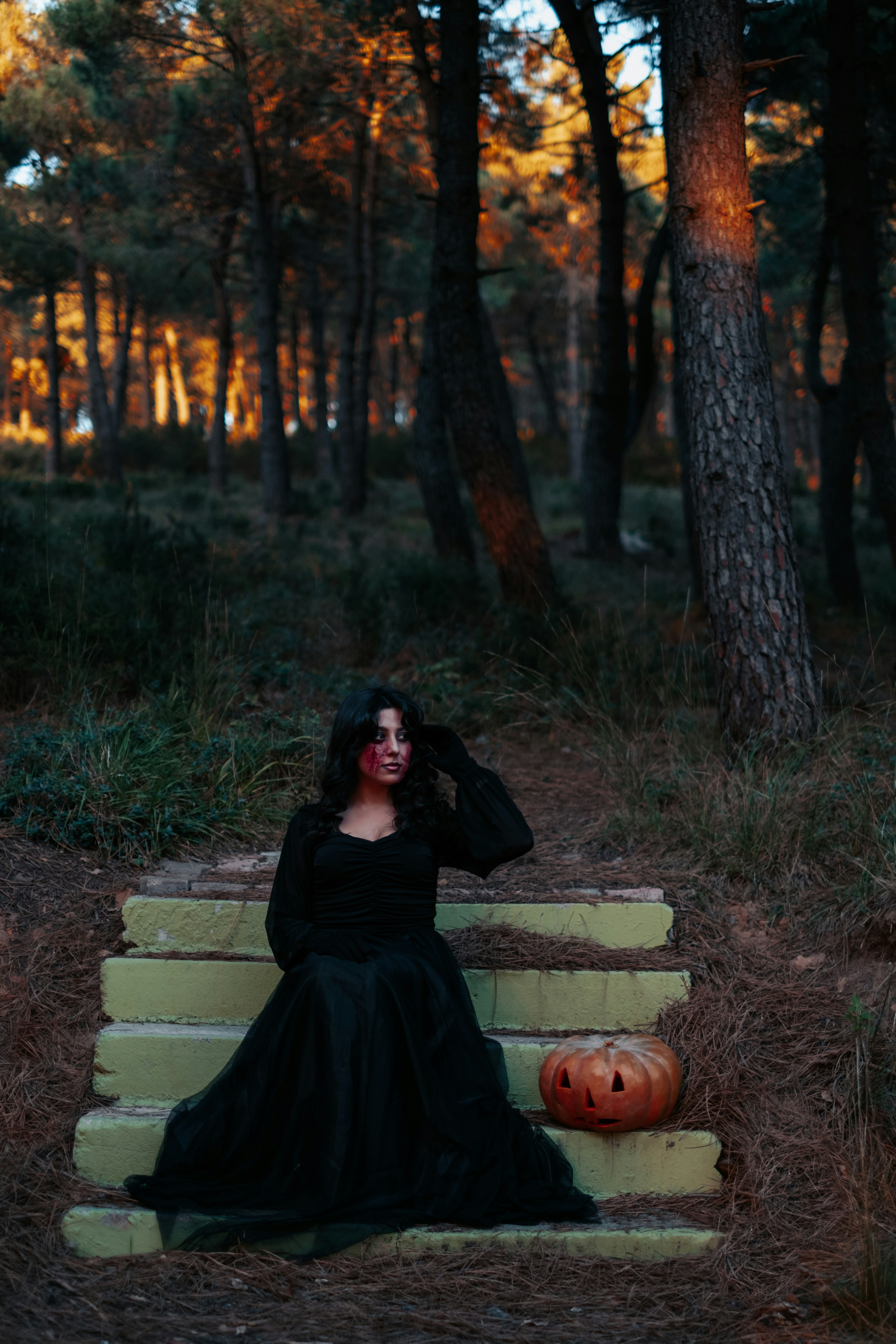 a person sitting on a bench in a forest