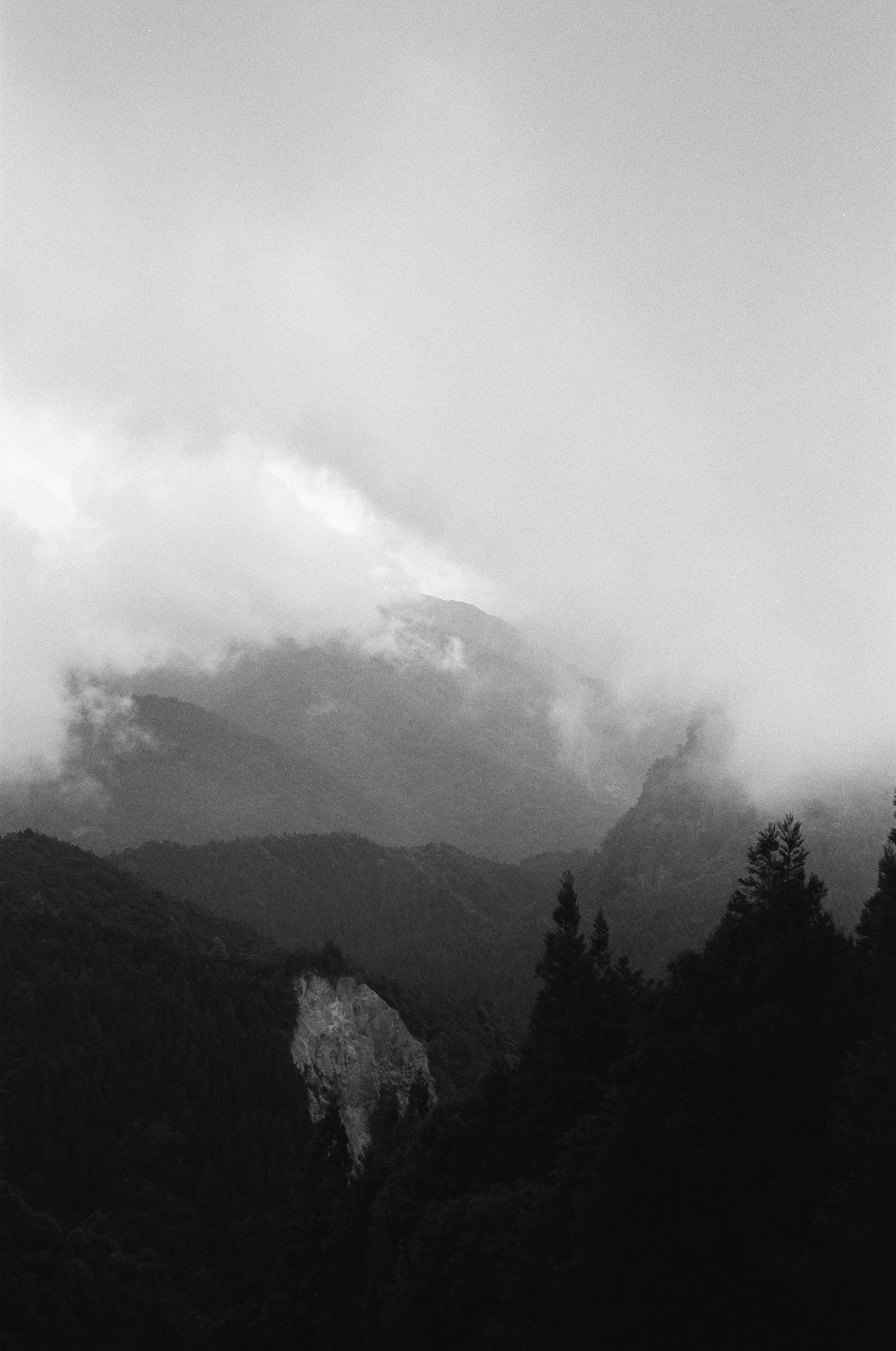 Monochrome mountain landscape photograph with dark pine silhouettes in the foreground and mist-shrouded ridges under a heavy cloud canopy.