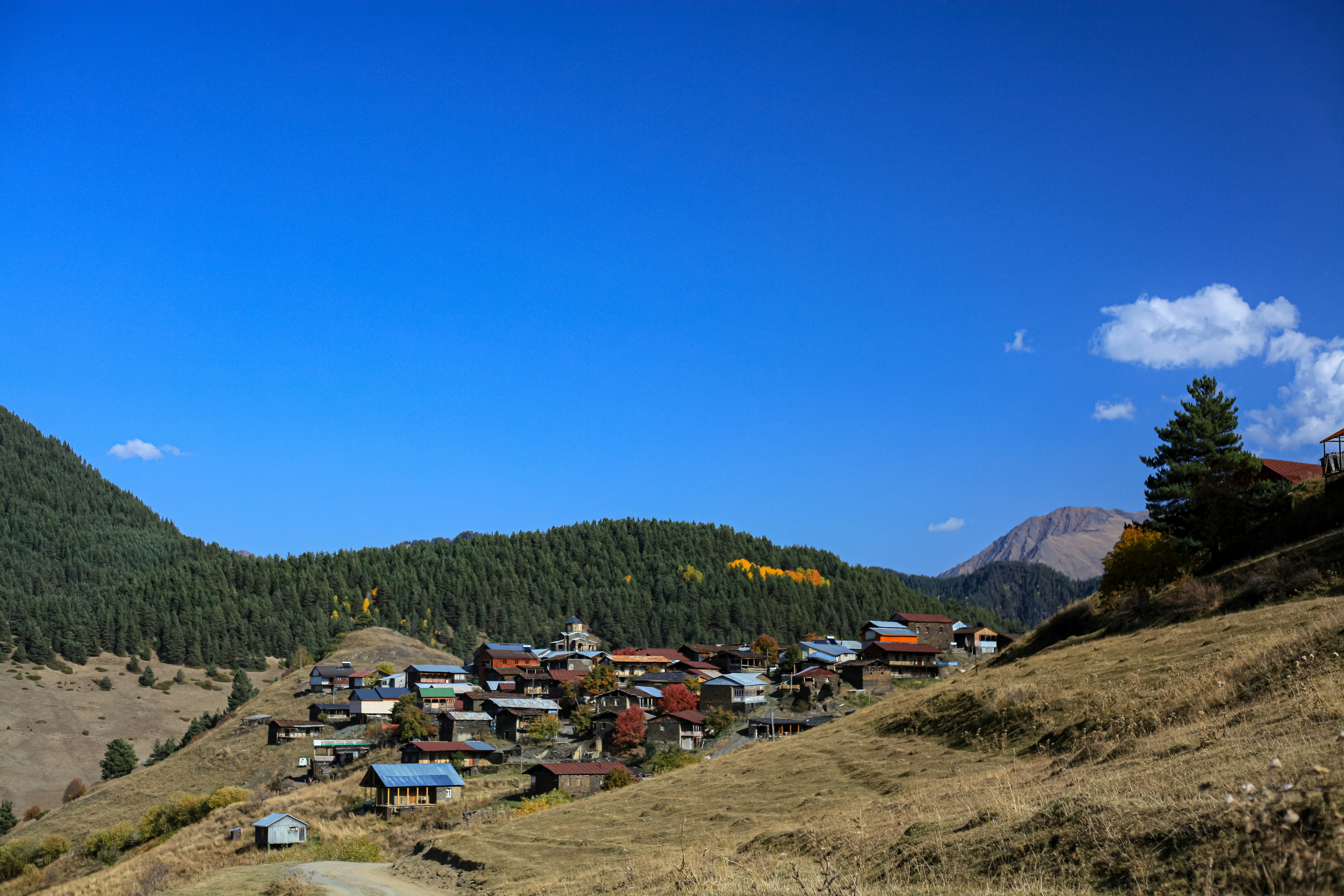 Photo by Nick Osipov with Canon EOS 5D Mark II