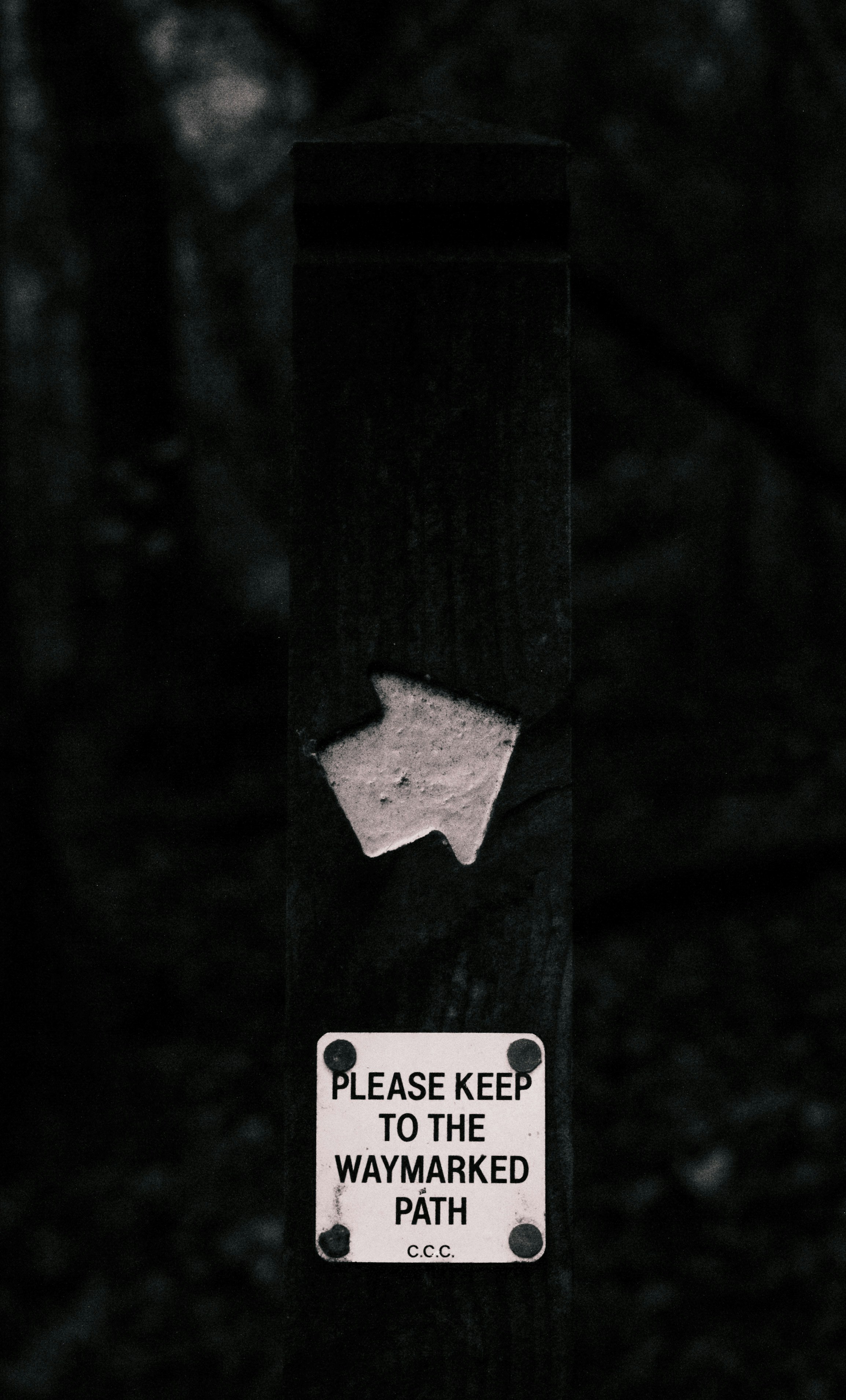 a sign on a pole