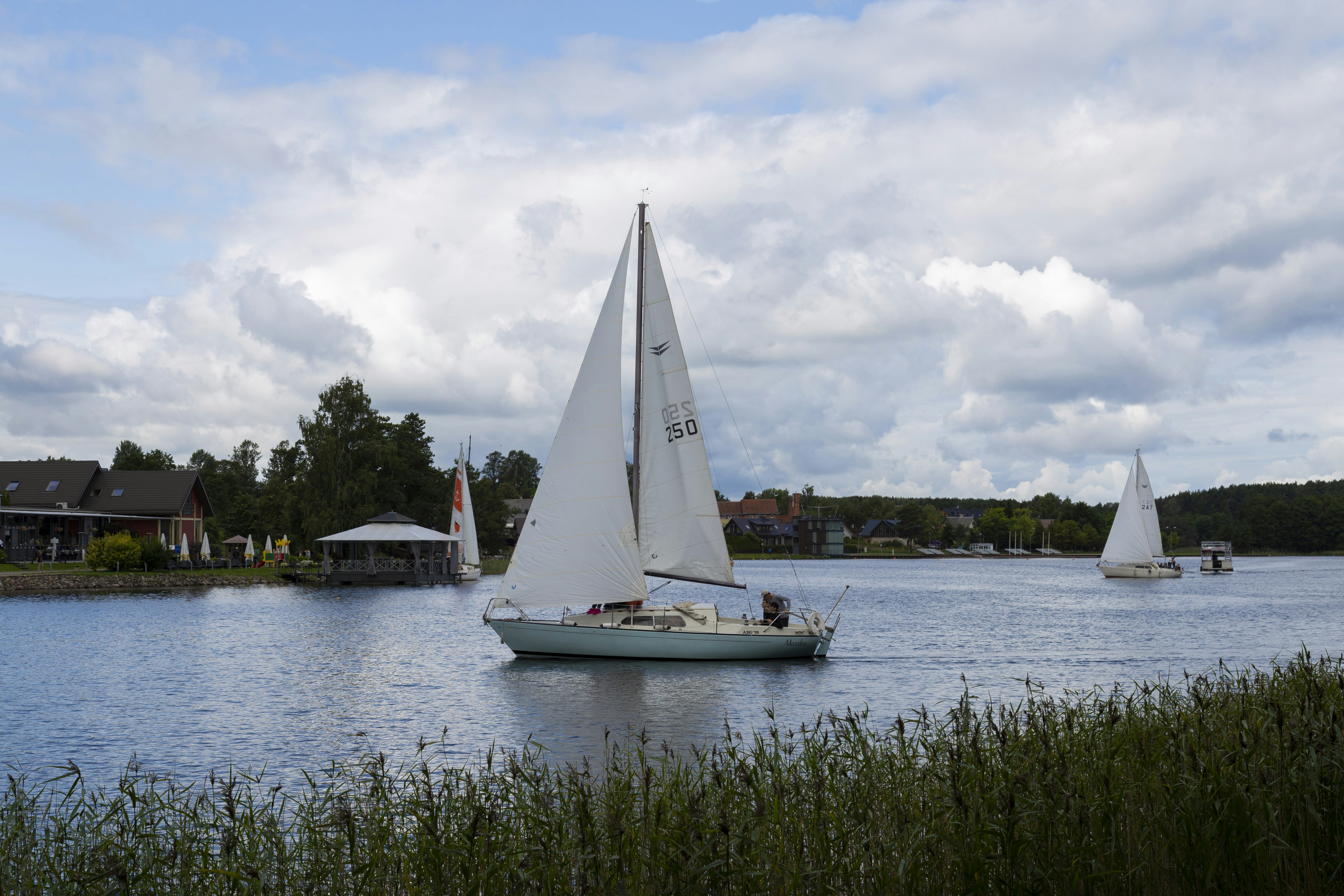 White Sails on a Quiet Lake, Village Horizon in Calm Light