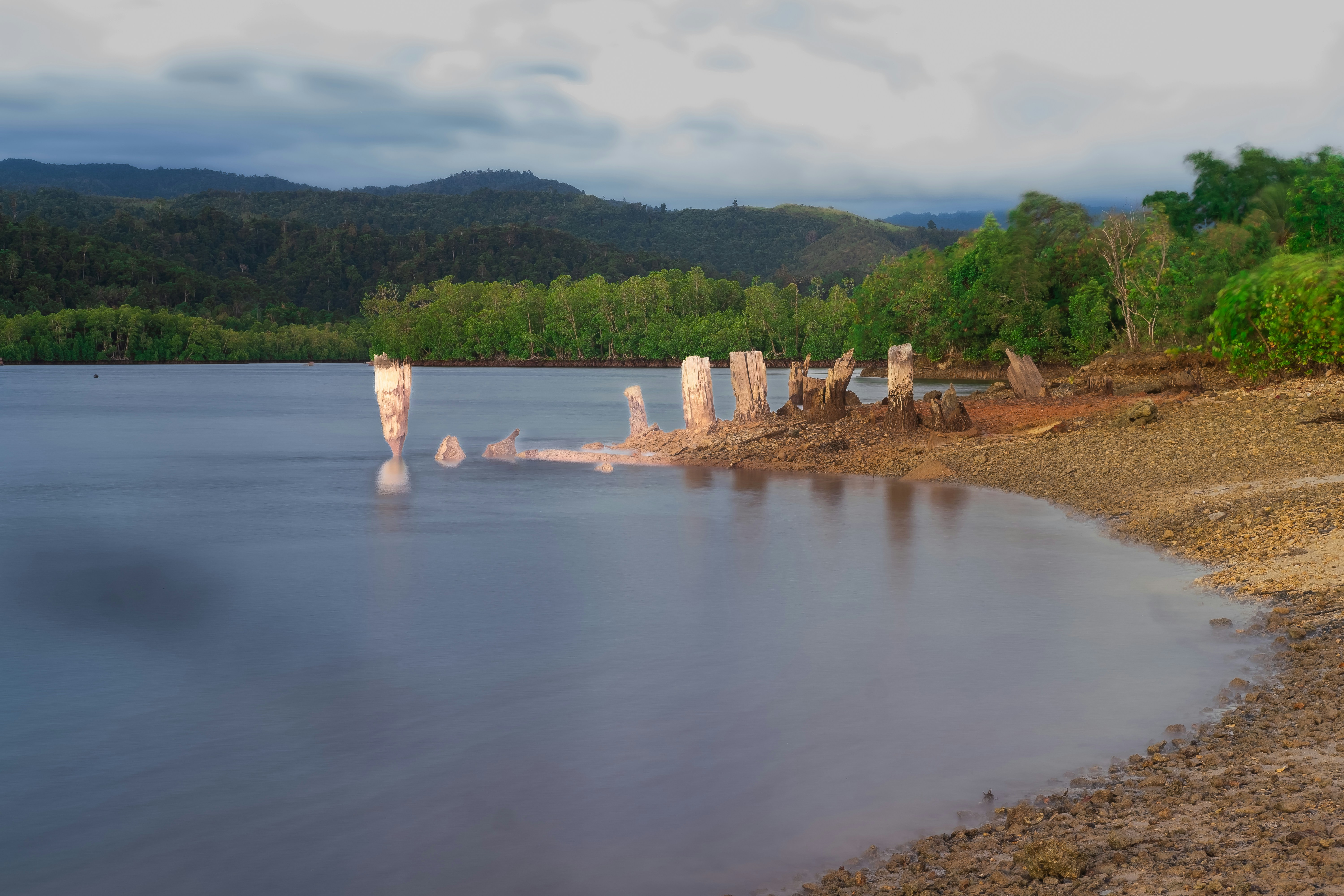 A body of water with trees and a bridge in the distance photo – Free ...