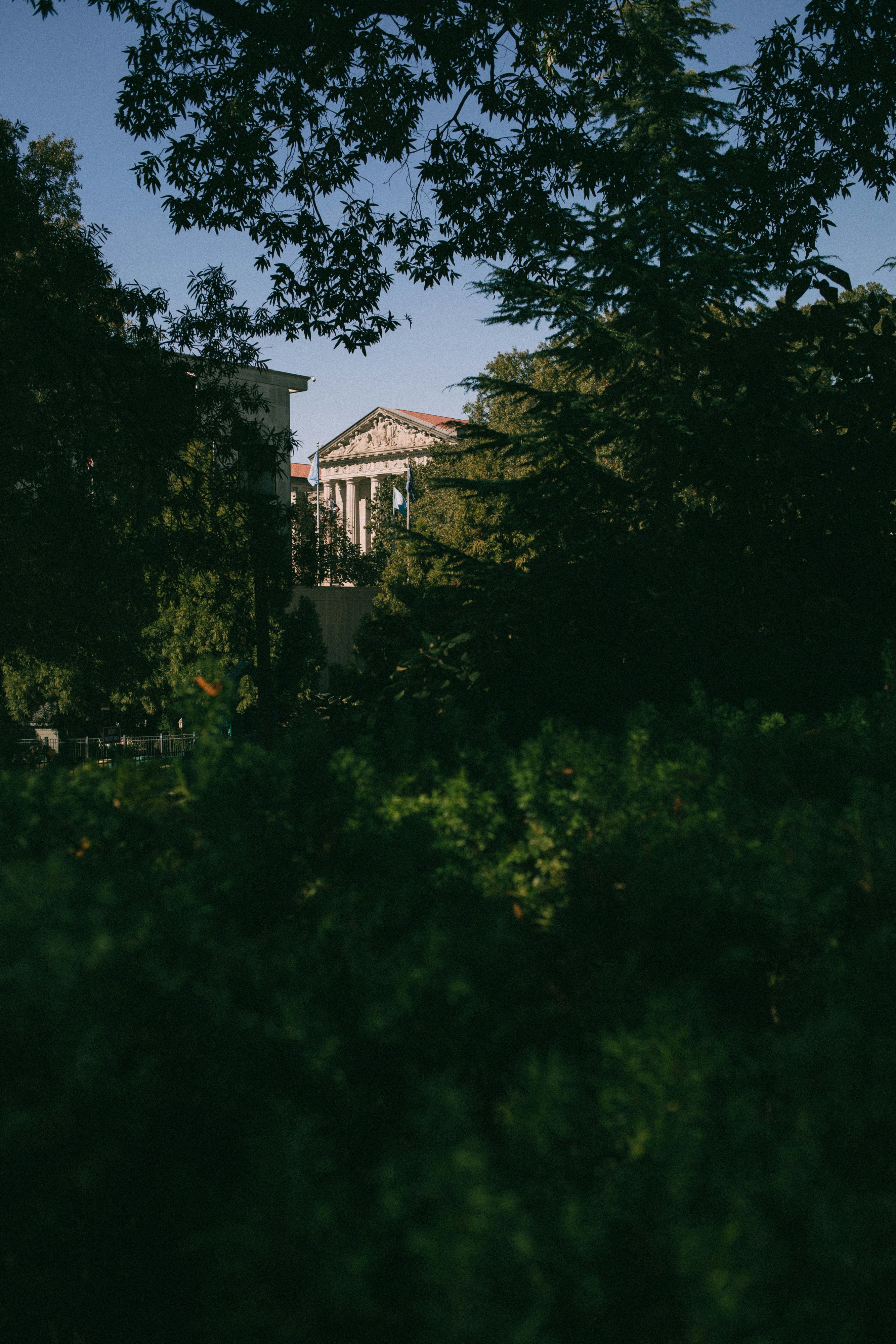 A building behind trees photo – Free Washington d.c. Image on Unsplash