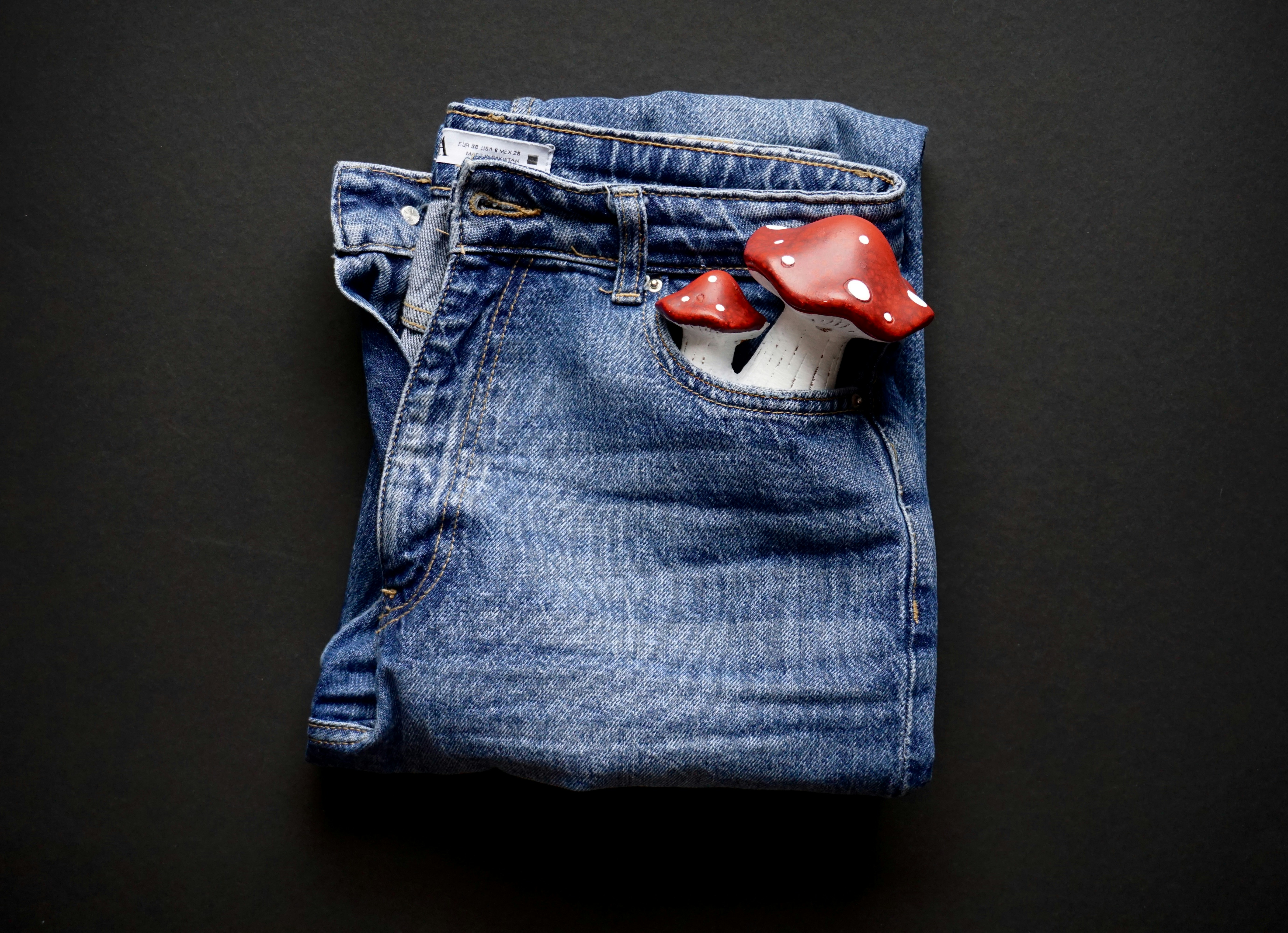 Mushroom Peek in a Folded Denim Pocket