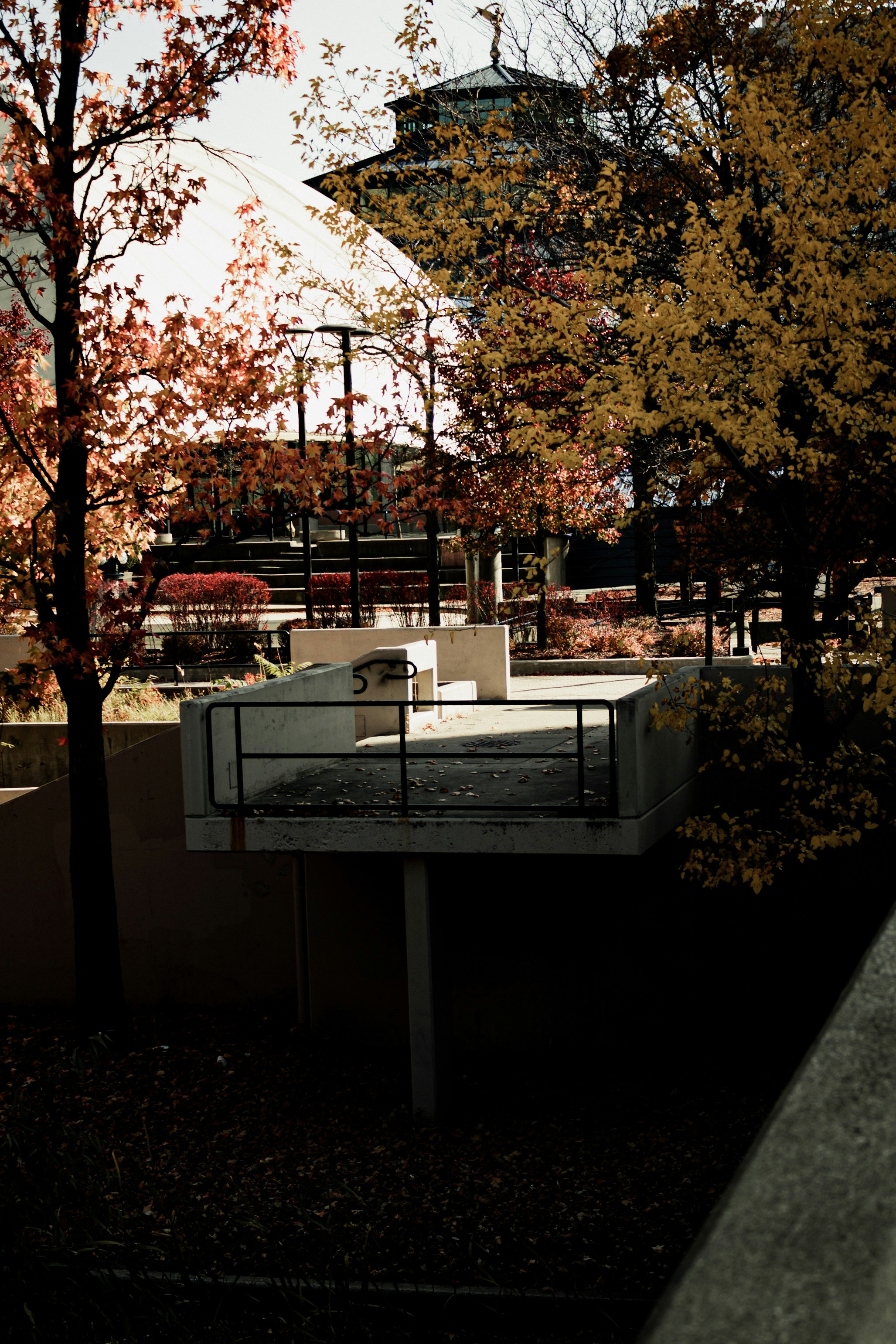 Autumn Terrace Overlook at Dappled Light
