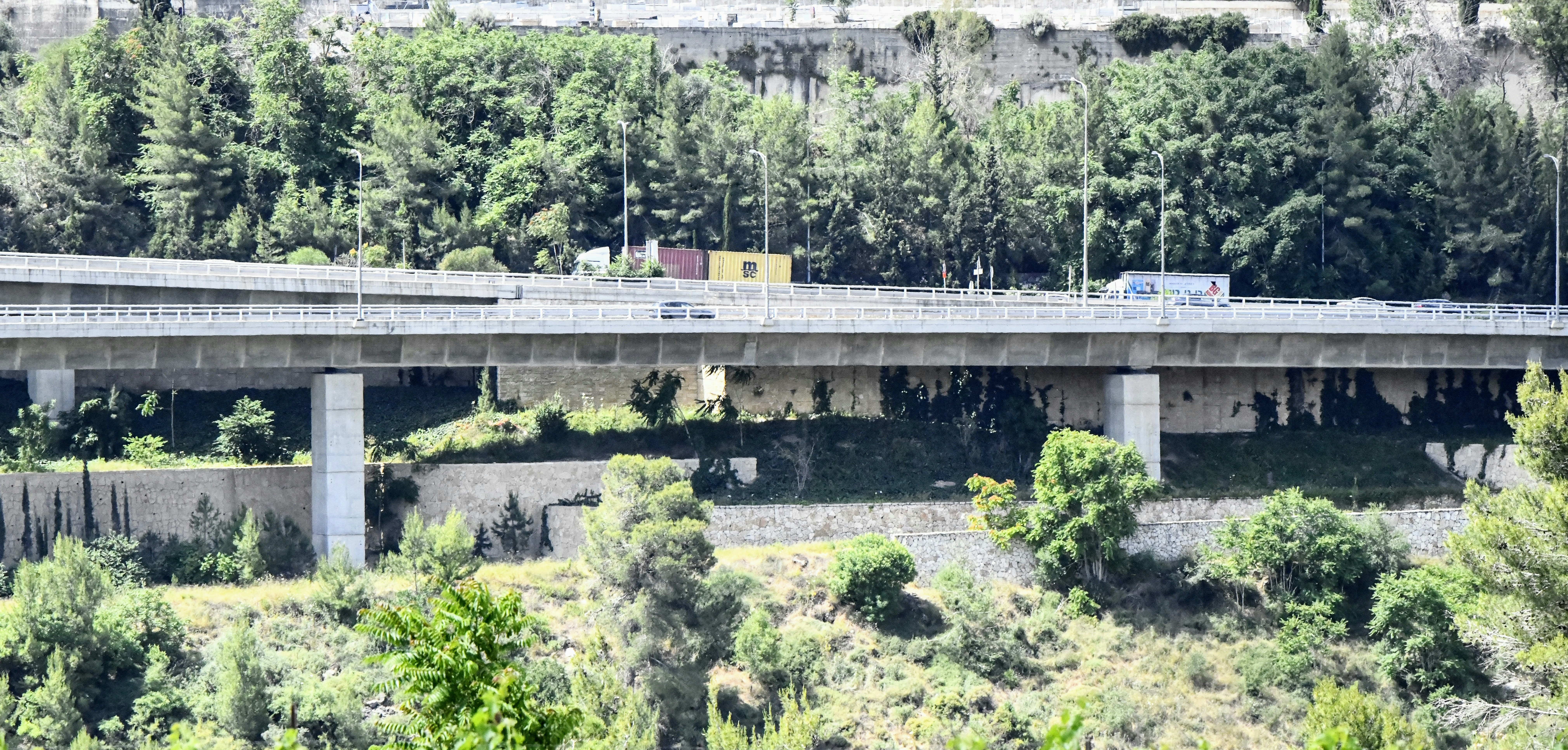Concrete Ribbon Over Verdant Slope: Freight Truck on a Mountain Bridge