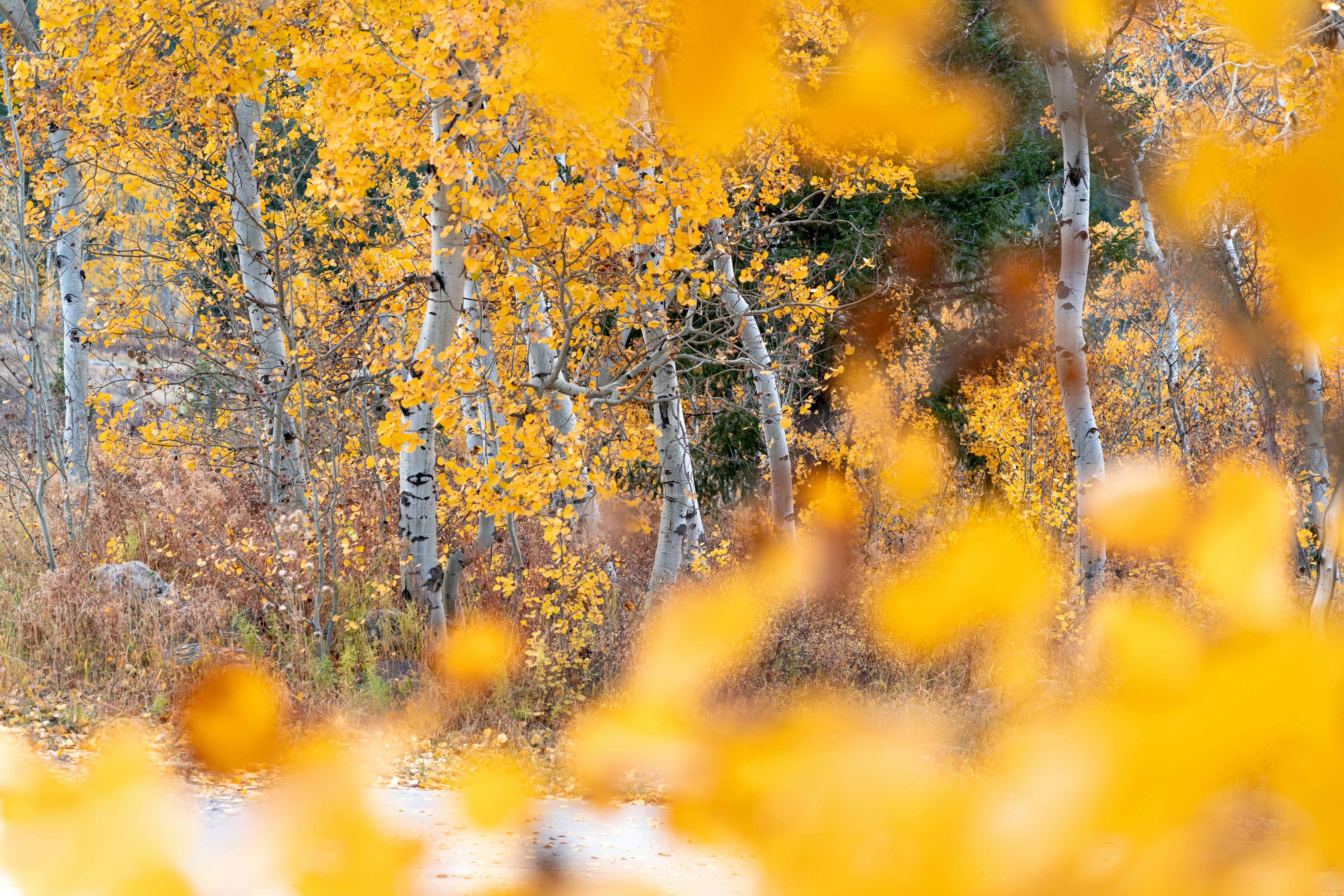 Photo by Austin Schmid with Sony Alpha 7C