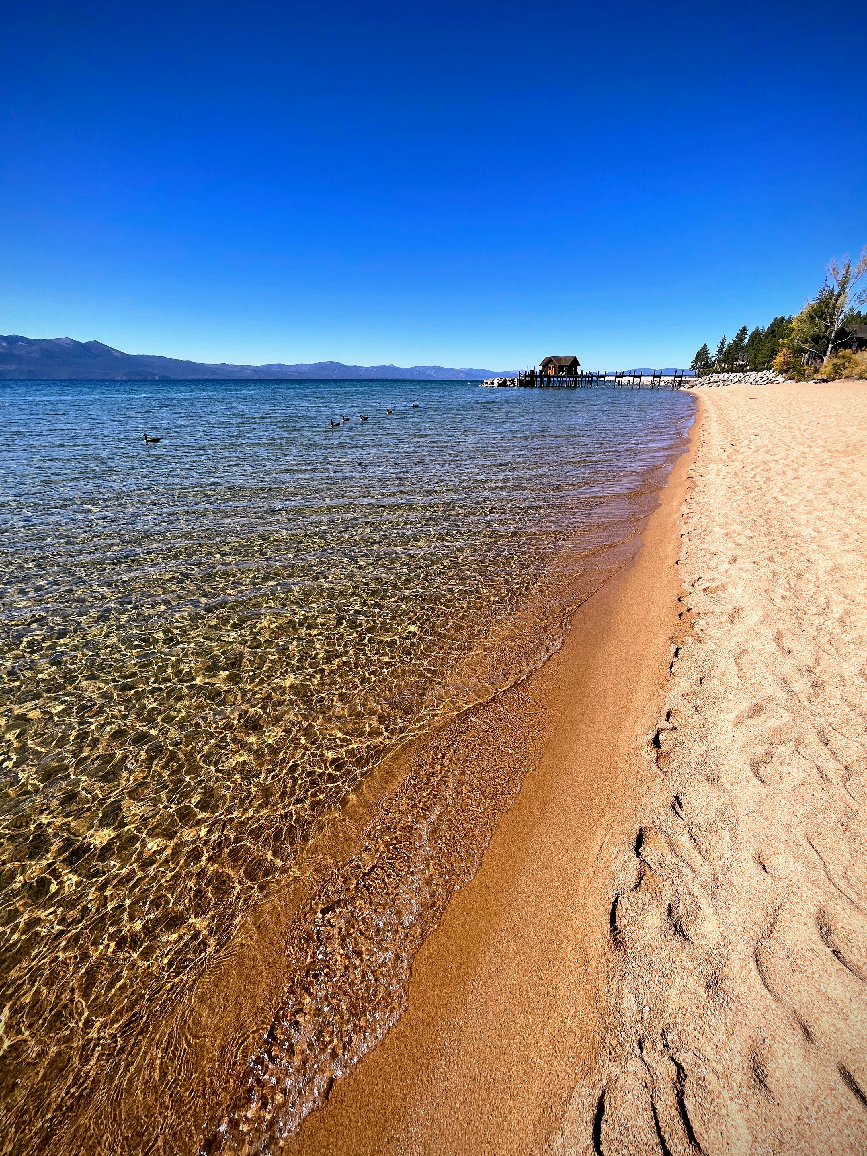 a sandy beach with a body of water and a hill with trees