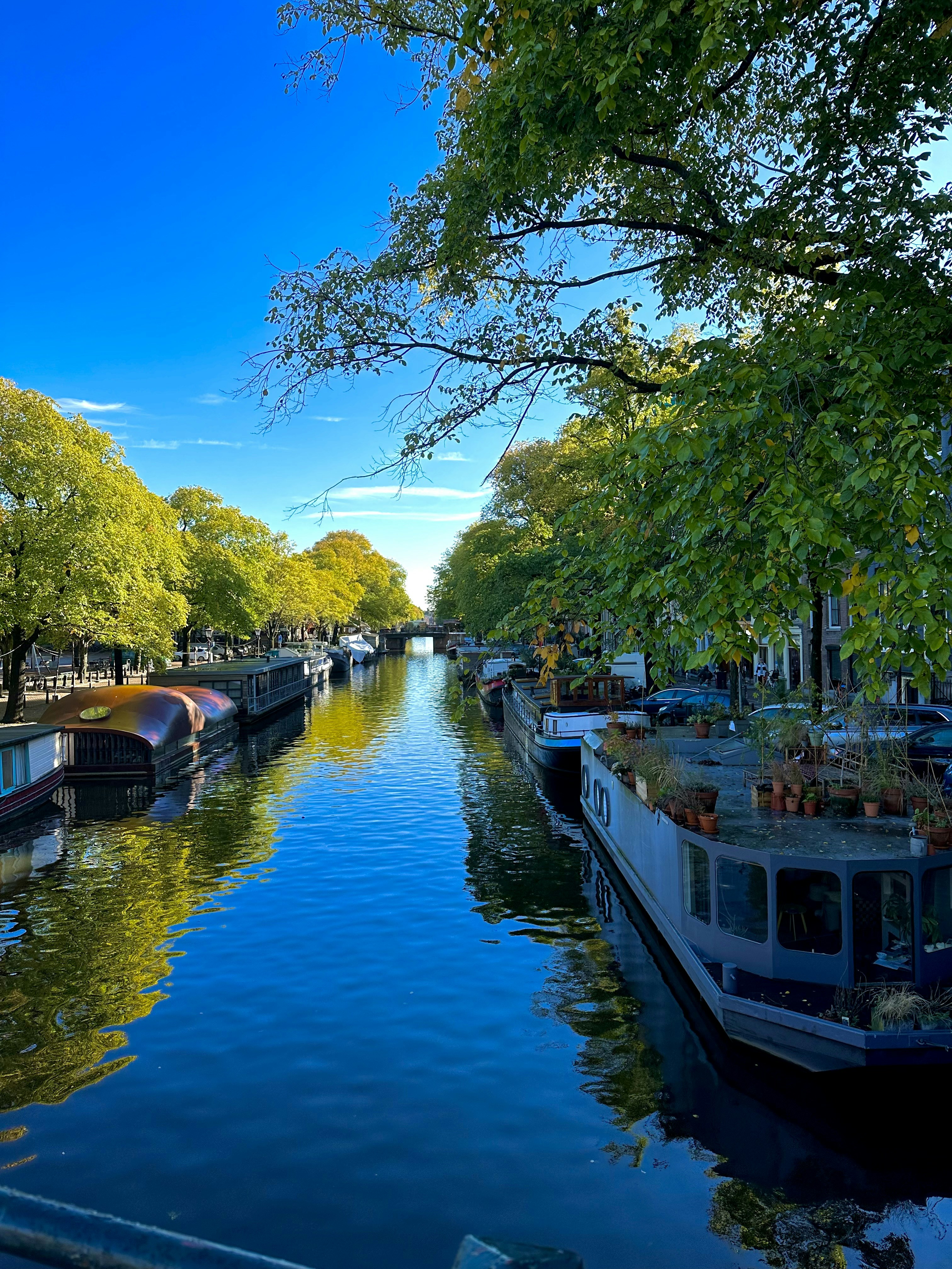Canal Canopy Reverie: Boats, Reflections, and a Sunlit Riverside