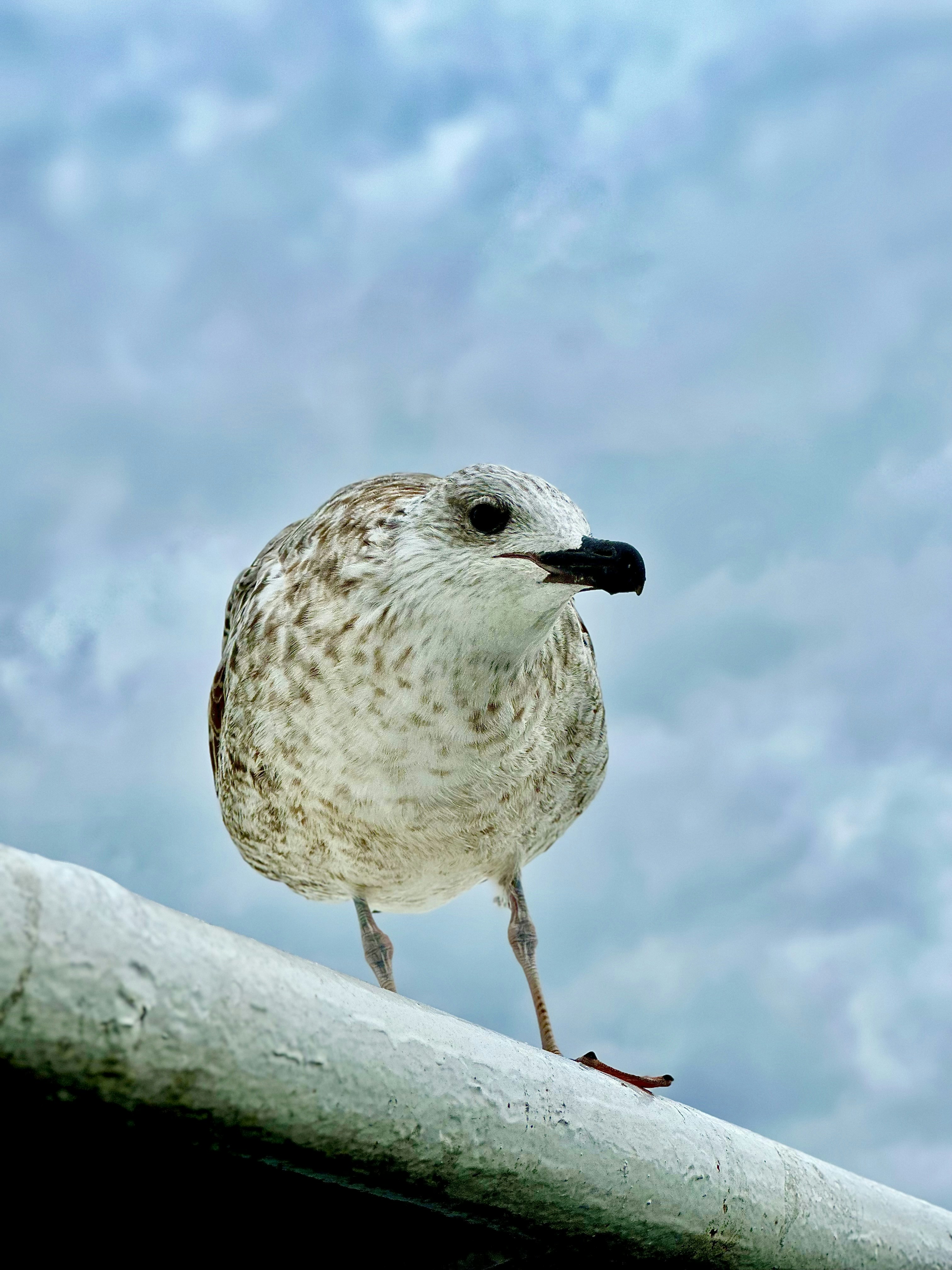 Watching you