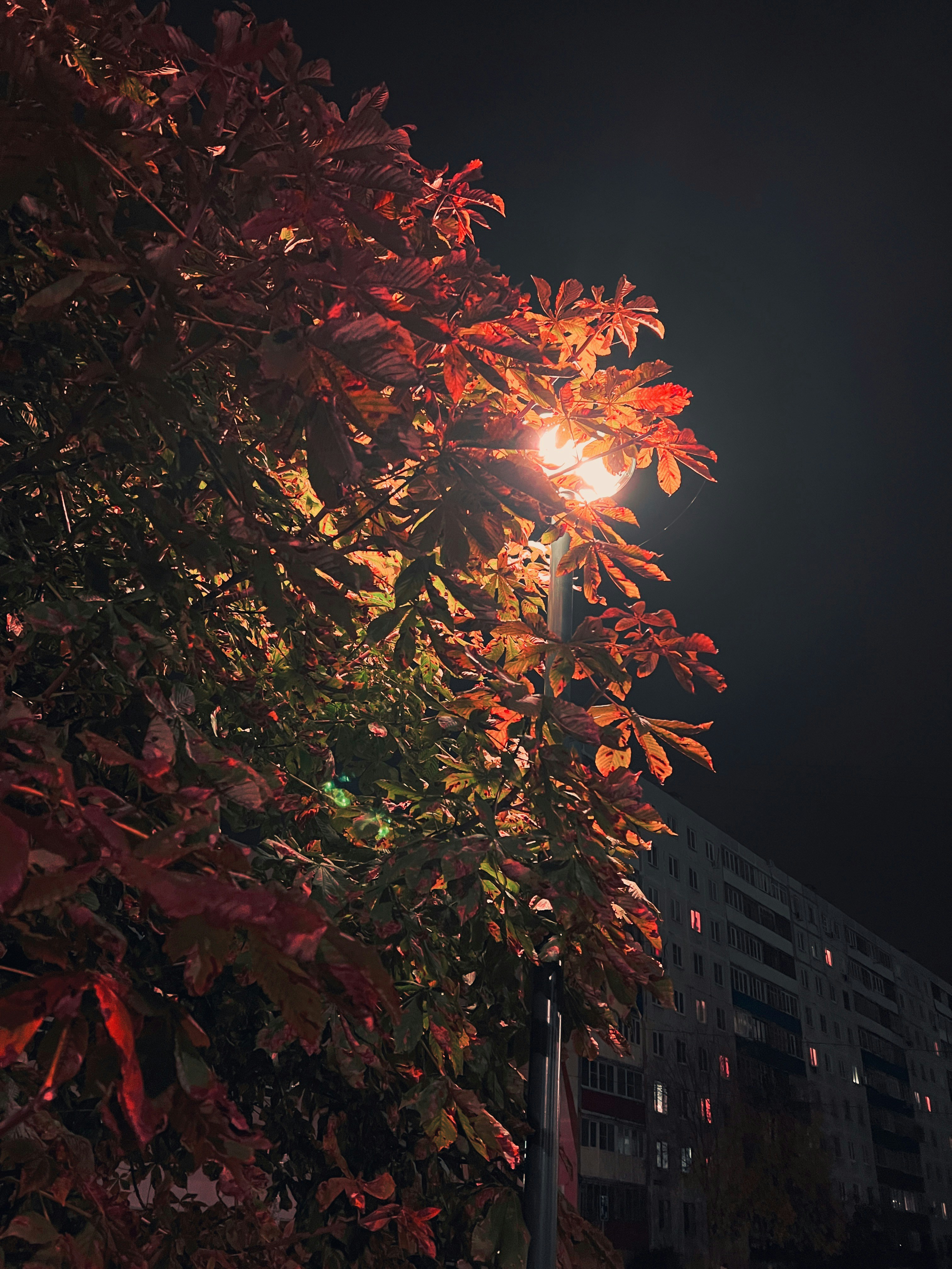Red light