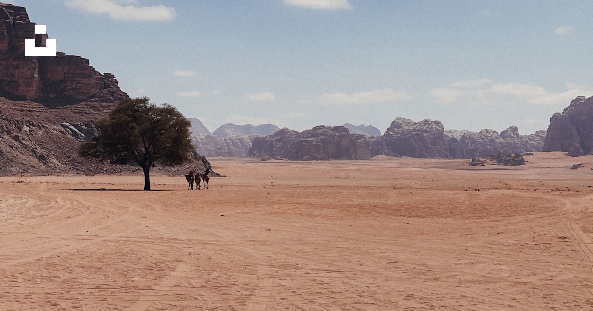 ワディラムを背景にした砂漠の馬の数頭の写真 Unsplashのワディ ラム ビレッジの無料画像