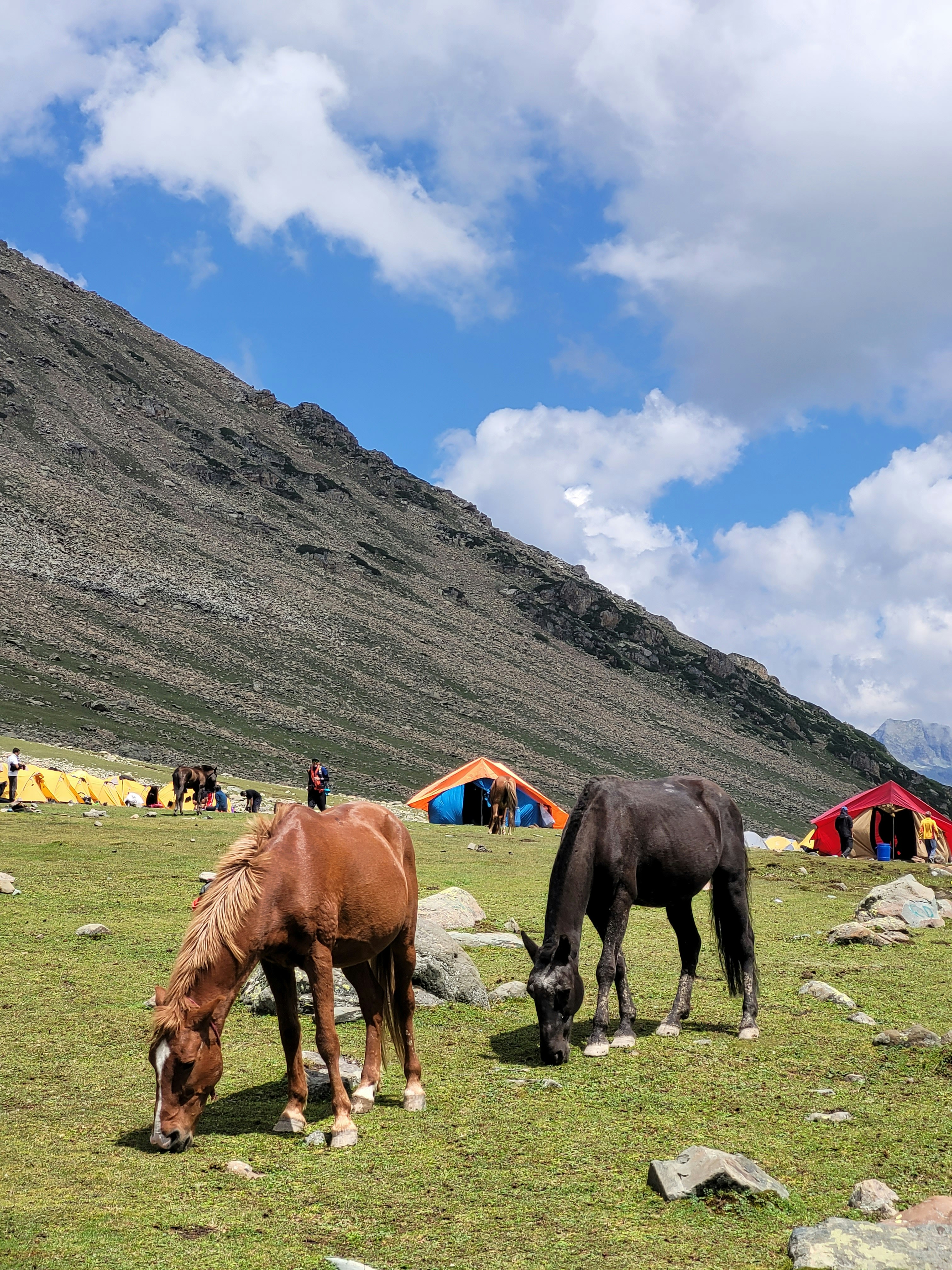 Photo by Ankur Khandelwal with Samsung Galaxy S20 FE